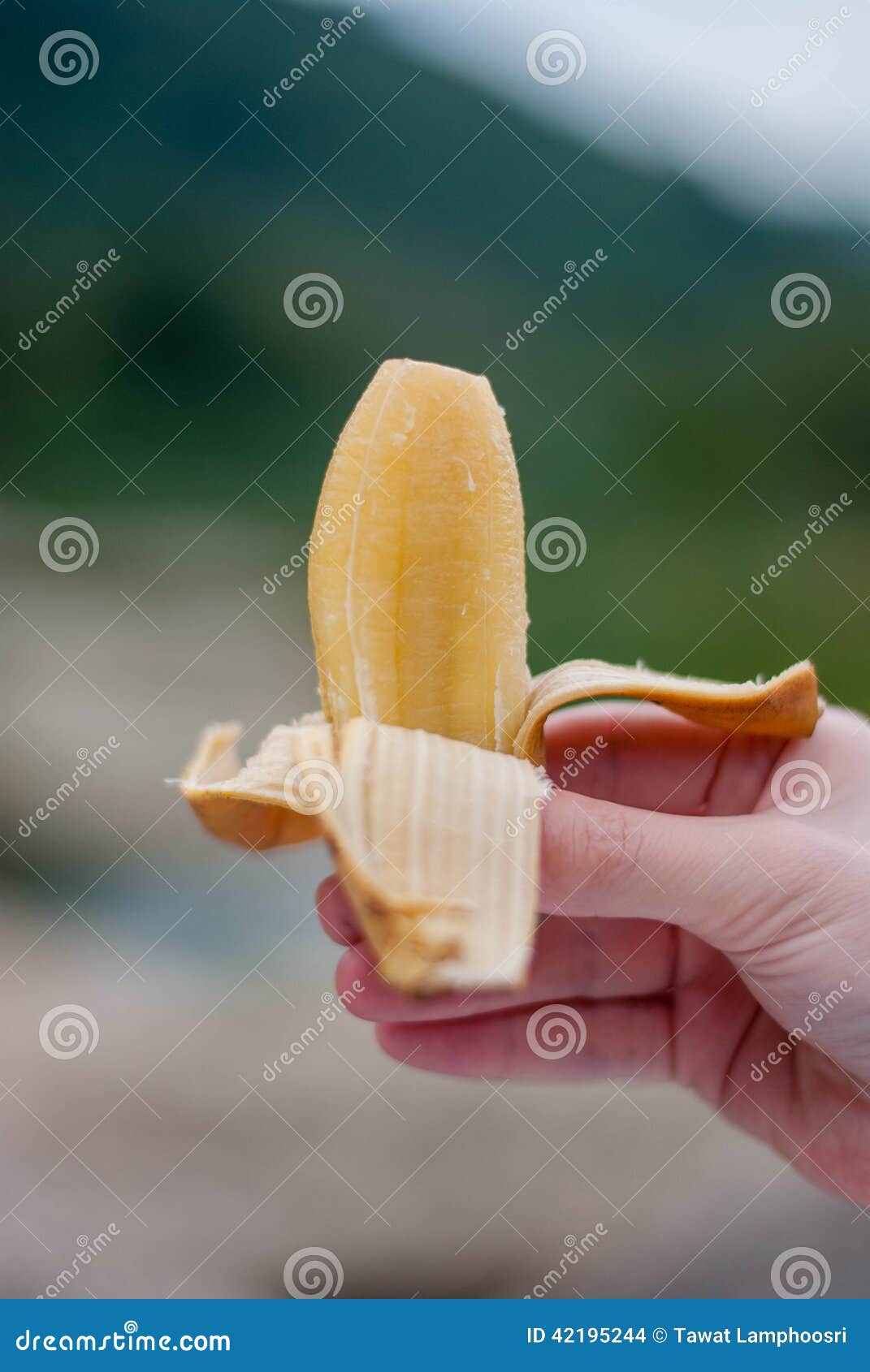Female hand with banana stock photo. Image of ripe, exotic - 42195244