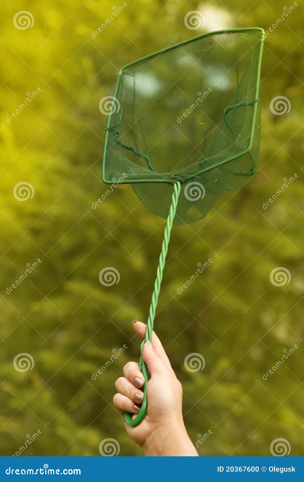 Female hand butterfly net stock photo. Image of wire - 20367600