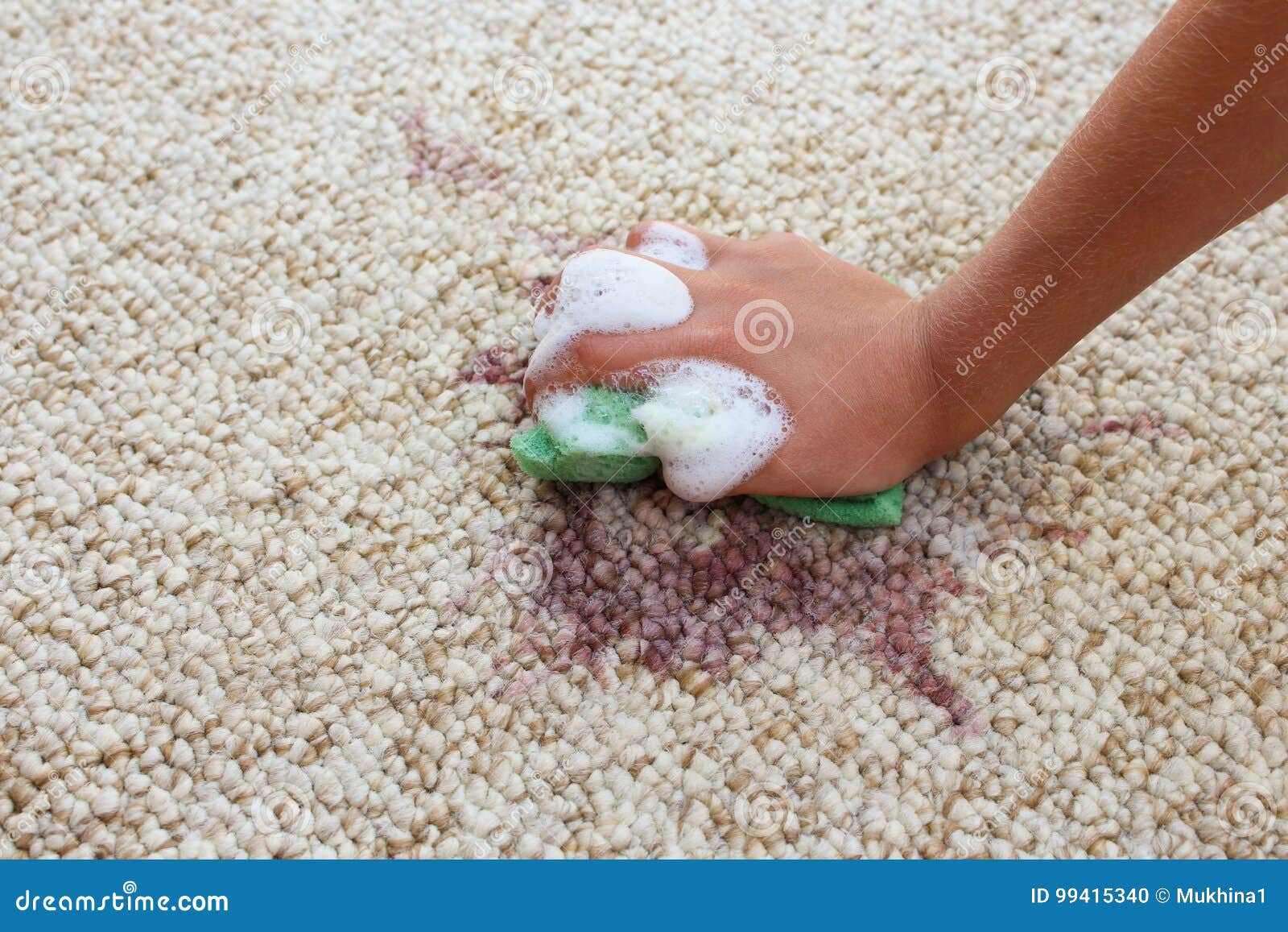 Female Hand Cleans the Carpet with Sponge and Detergent. Stock Photo ...