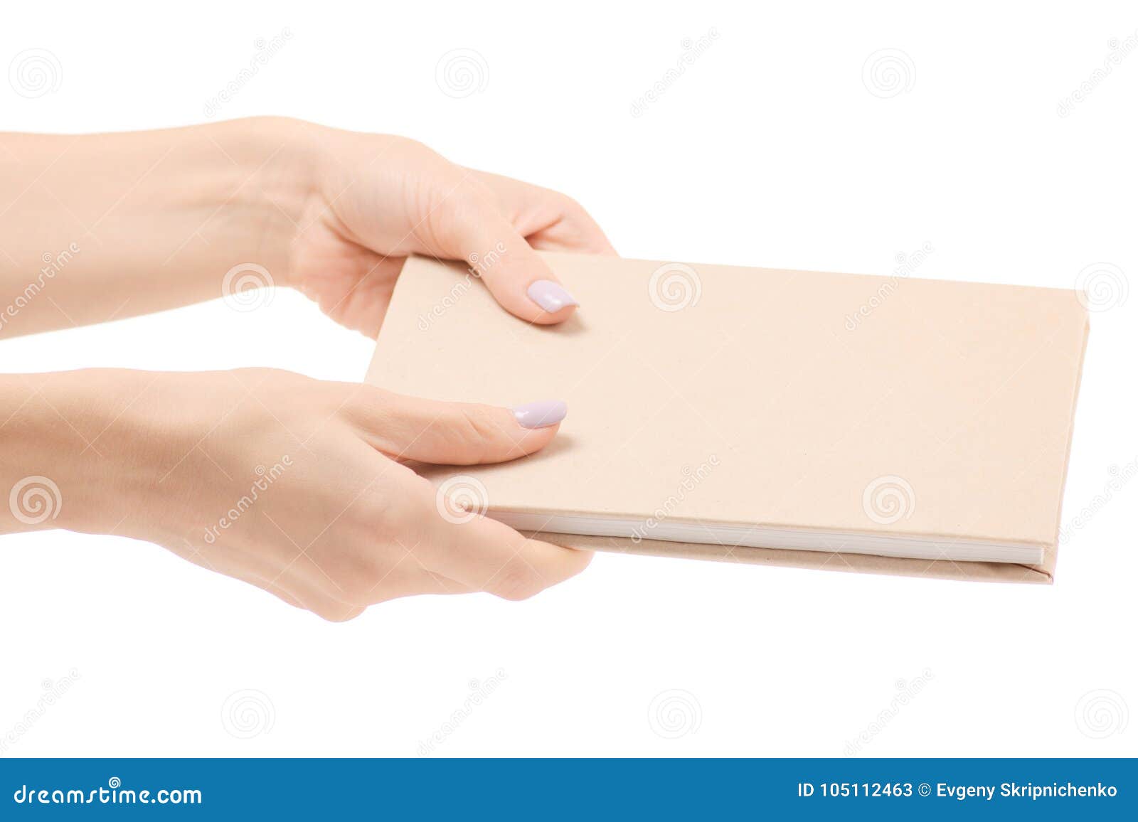Female hand diary stock image. Image of learn, cover - 105112463