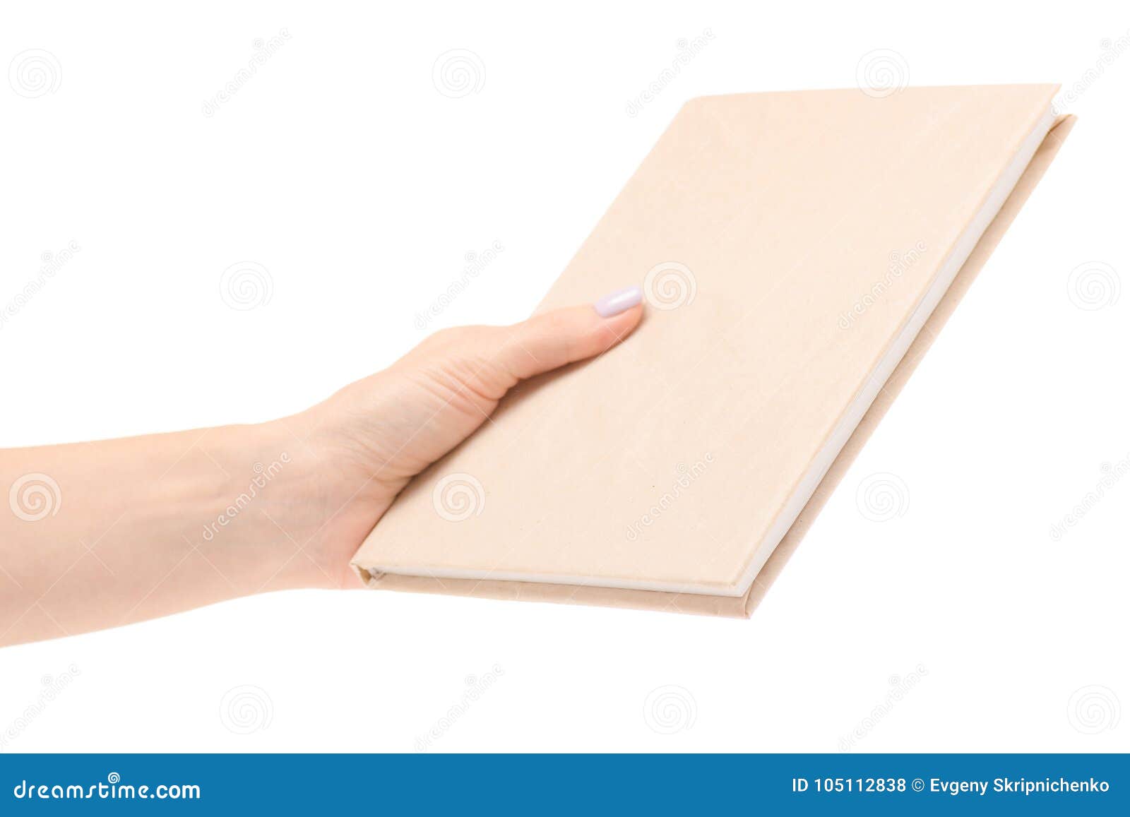 Female hand diary stock photo. Image of business, magazine - 105112838