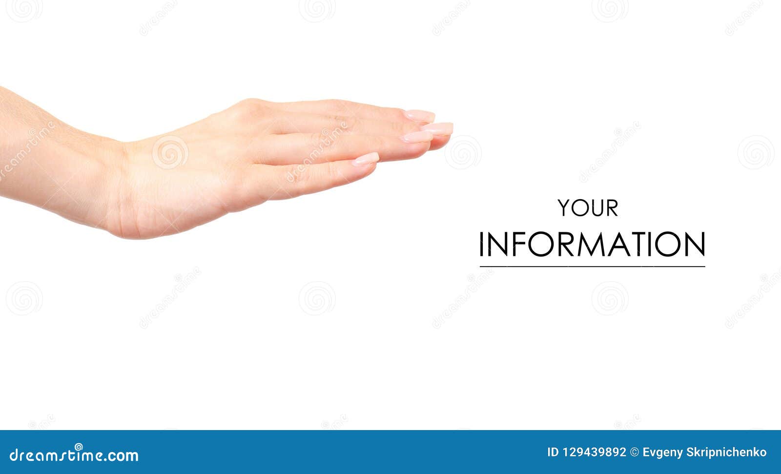 Female Hand Empty Show Low Level Pattern Stock Photo - Image of ...