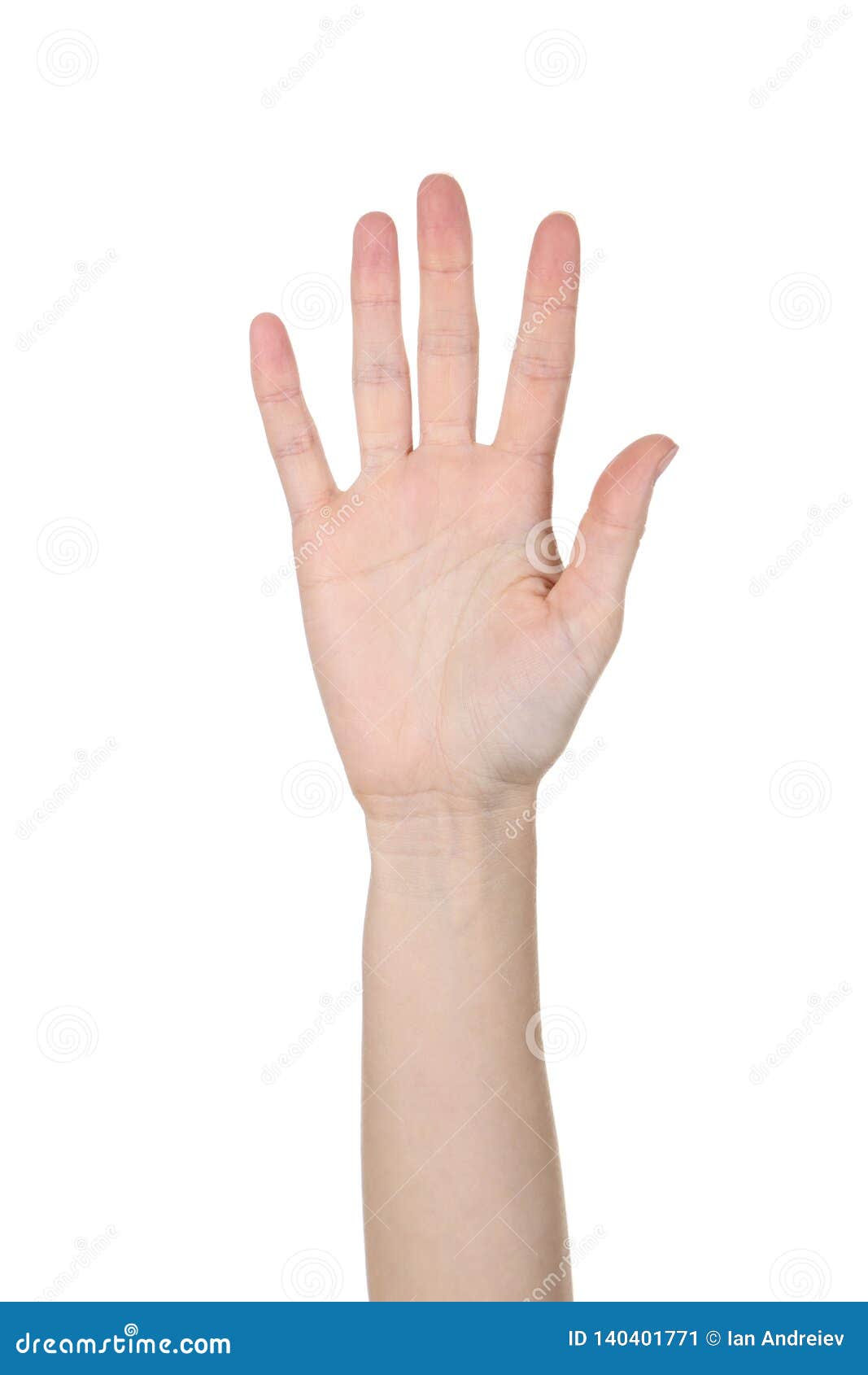 Female hand stock image. Image of thumb, beautiful, skin - 140401771