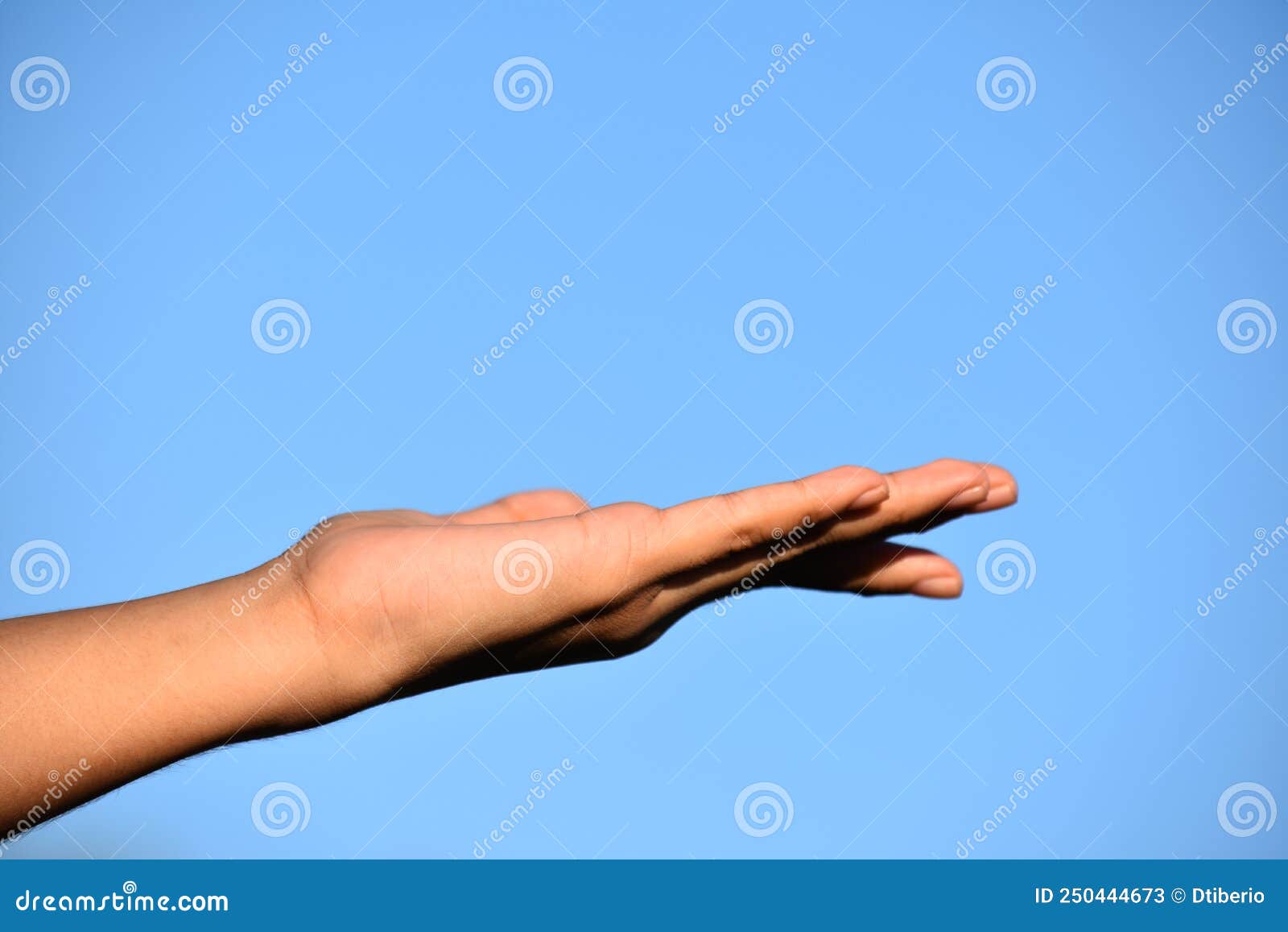 A Female Hand Flat Upwards stock image. Image of female - 250444673