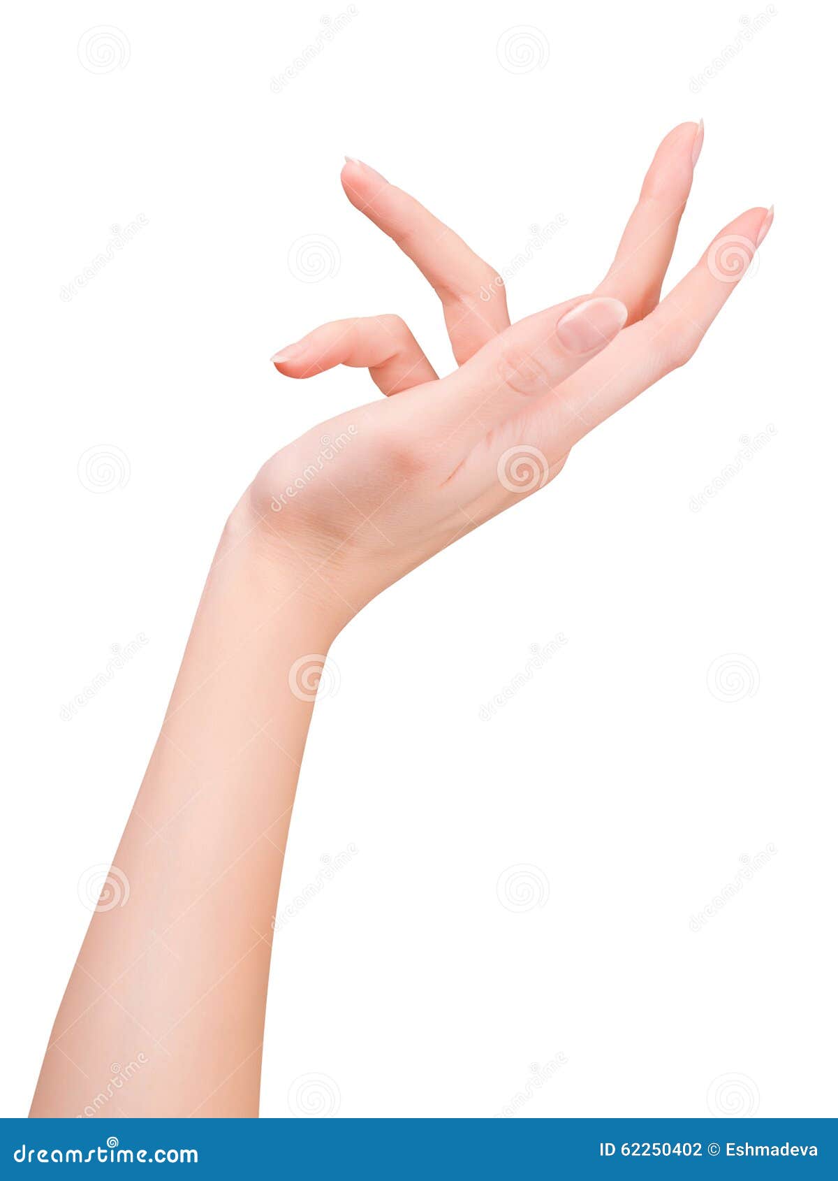 Female hand gesture stock photo. Image of gesturing, opening - 62250402