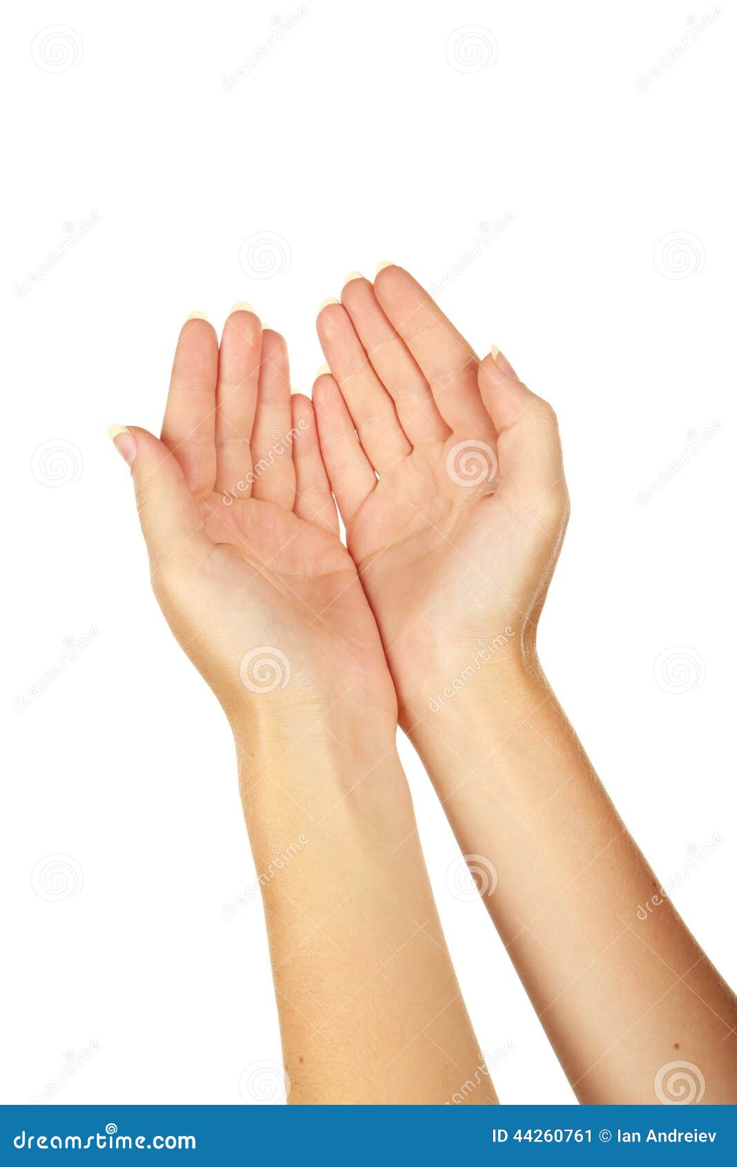 Female Hand Gestures, Close Up Stock Image - Image of people, white ...