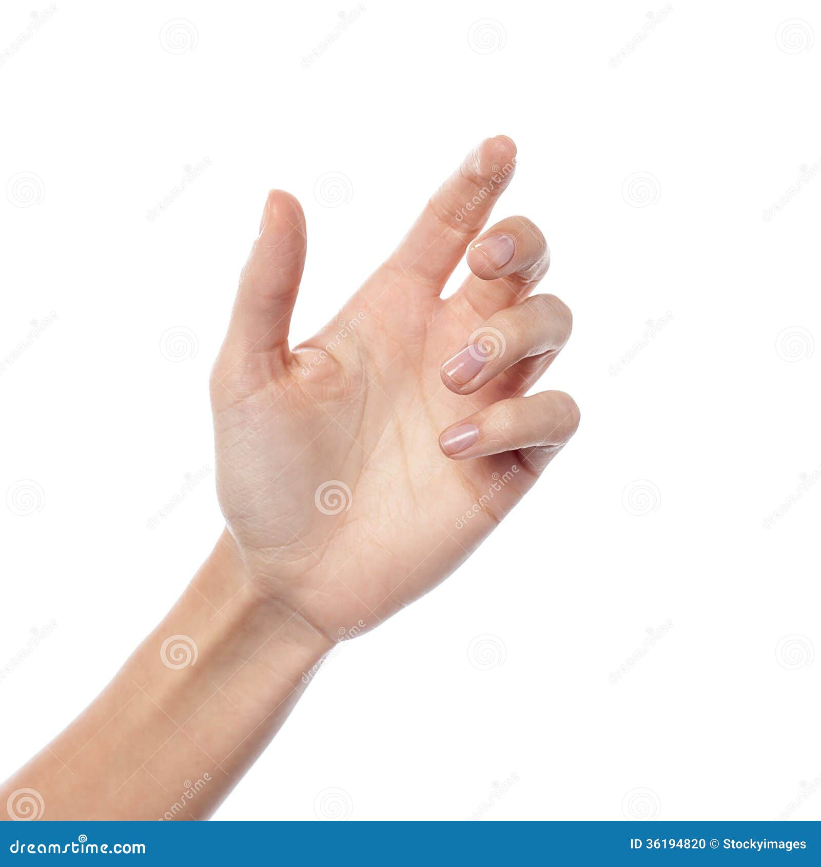 Female Hand Gesturing a Hold Stock Photo - Image of closeup, isolated ...