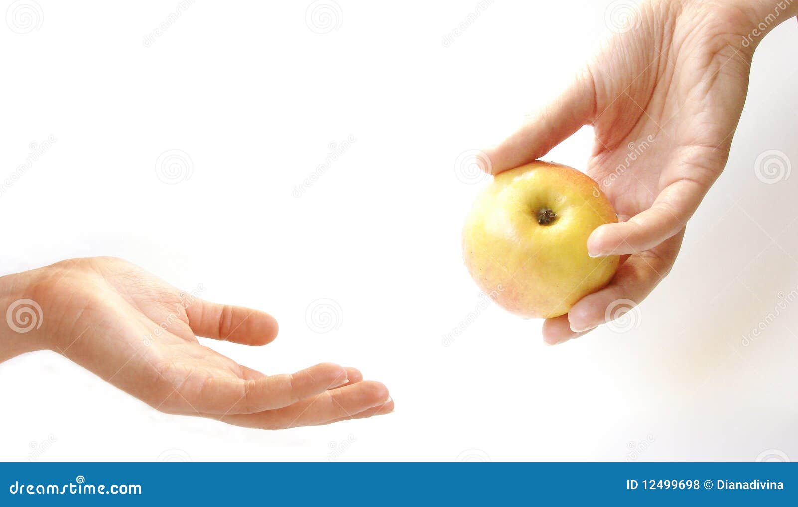 The Female Hand Giving an Apple To the Othere One Stock Photo - Image ...