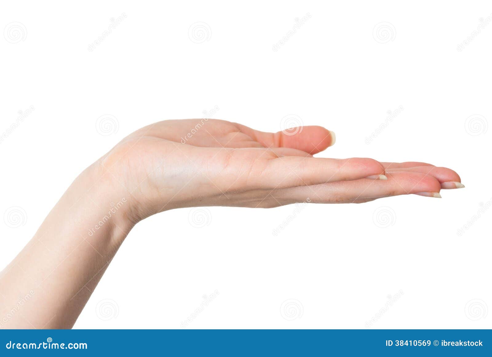 Female Hand Giving or Wanting Gesture Isolated on White Stock Image ...