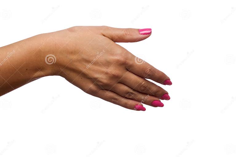 Female Hand in Handshake Position. Stock Photo - Image of business ...