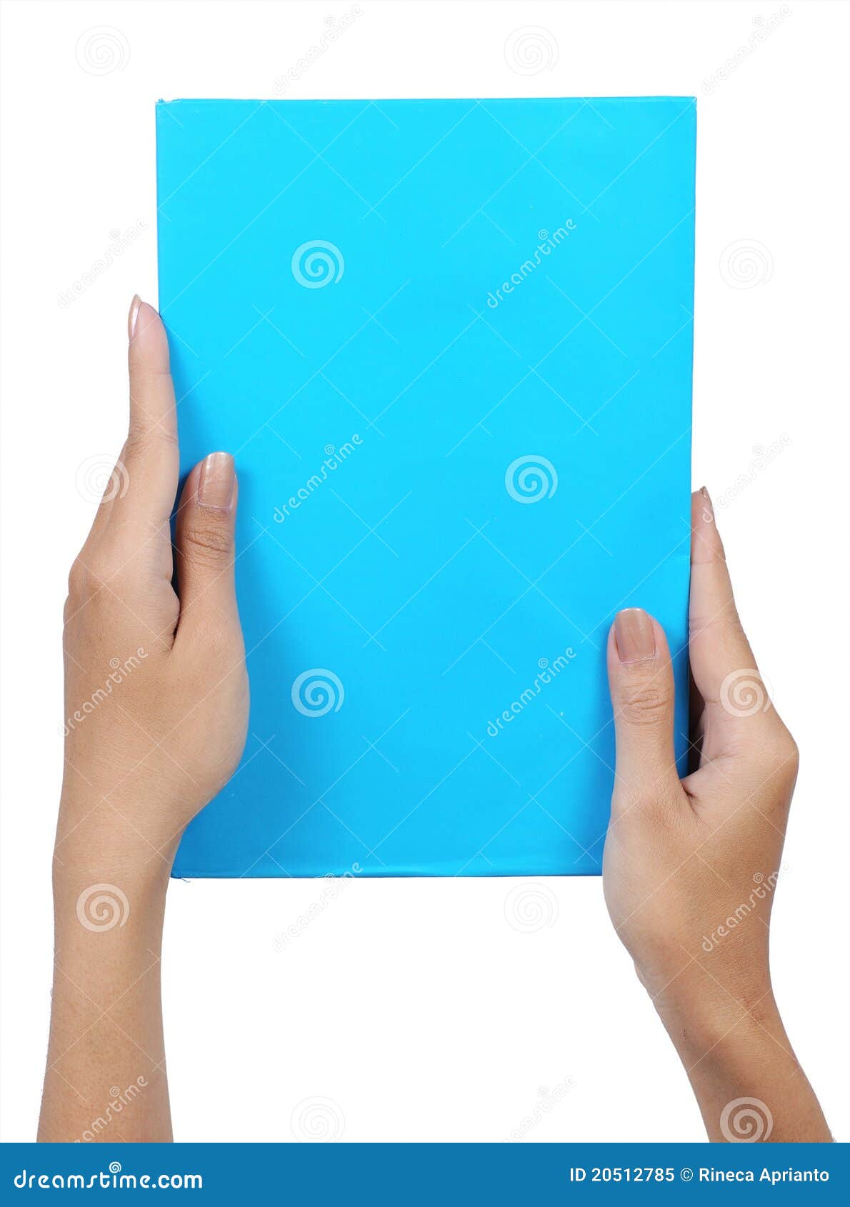 Female Hand Holding a Blank Paper Blue Stock Image - Image of office ...