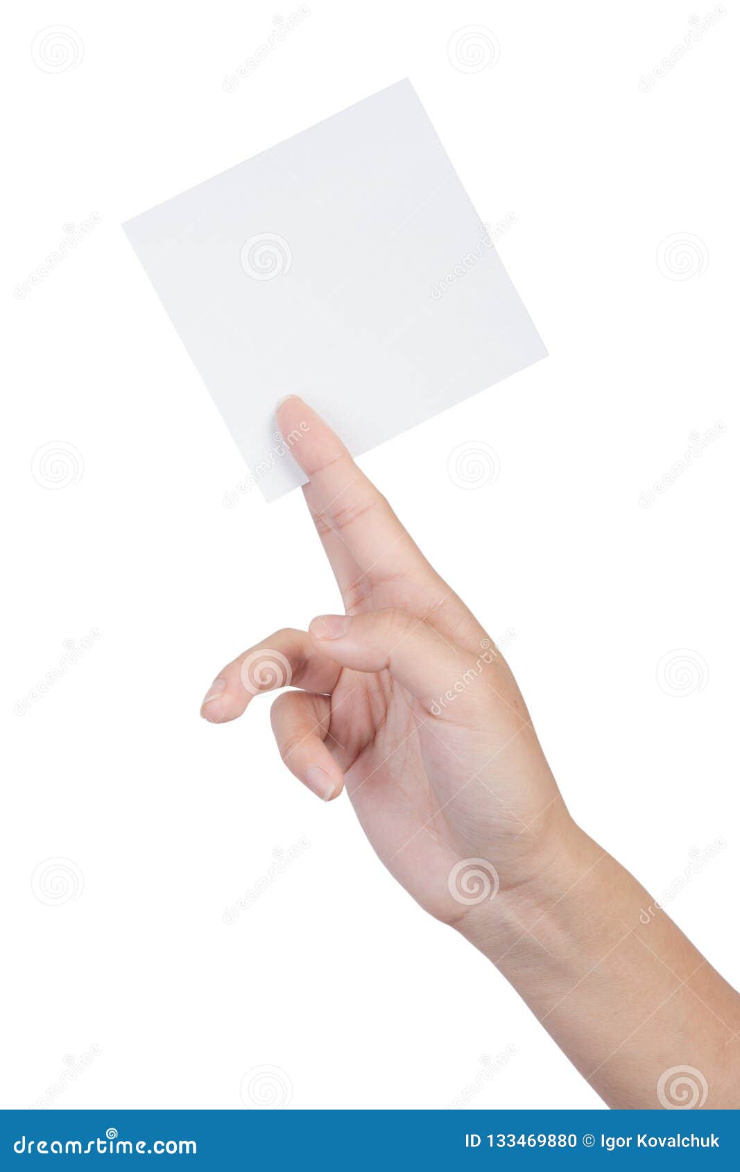 Female Hand Holding Blank Sheet of Paper Stock Photo - Image of ...