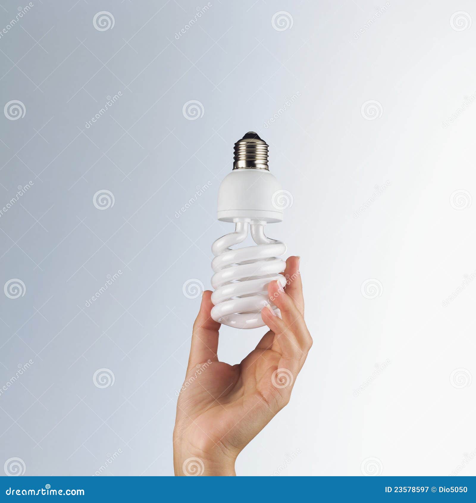 Female hand holding bulb stock image. Image of bulb, illuminated - 23578597