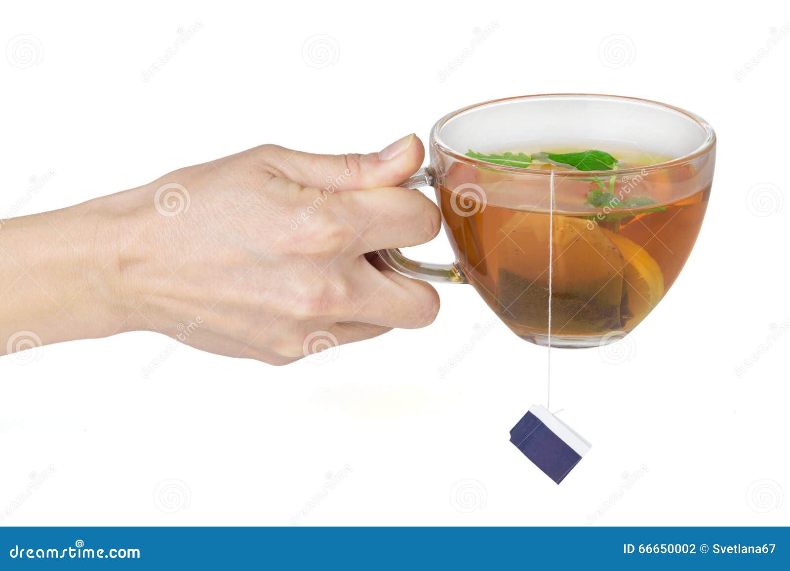 Female Hand Holding a Cup of Tea Stock Photo - Image of plant ...