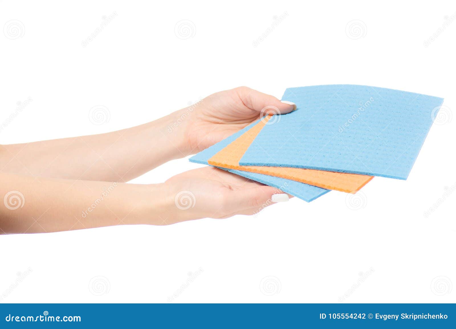 Female Hand Holding Kitchen Rags Stock Photo - Image of housewife ...