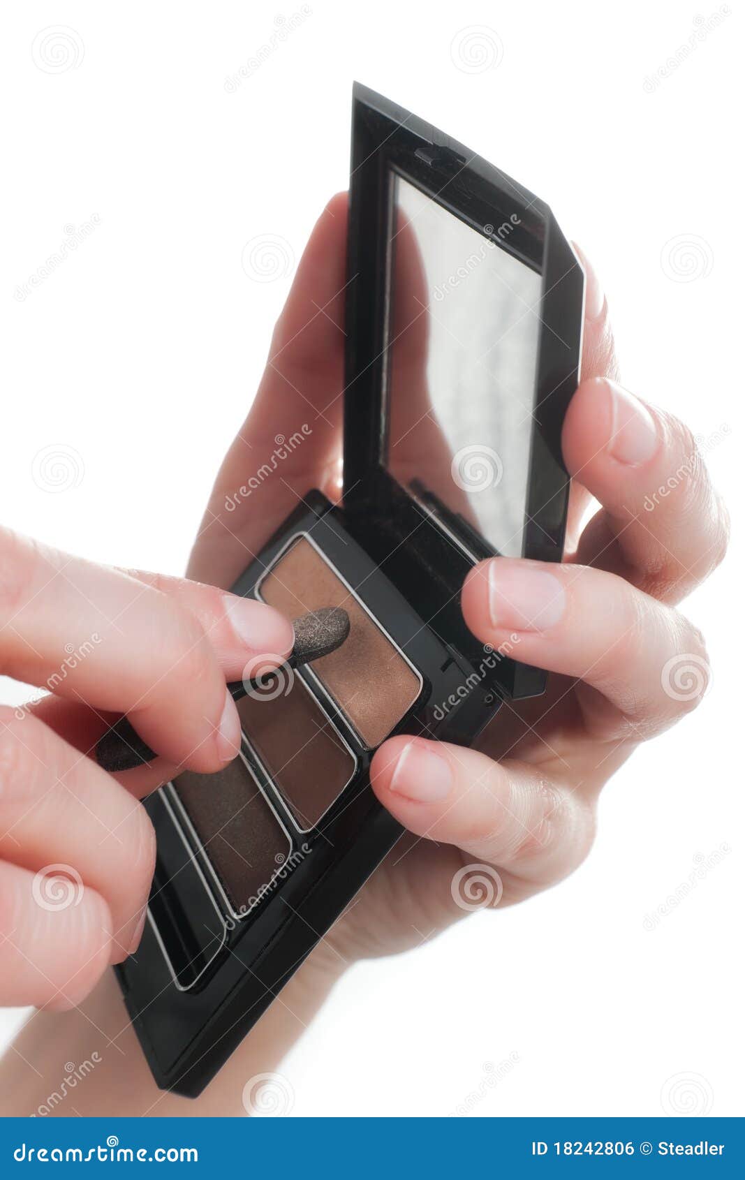 Female Hand Holding Makeup Brush and Blush Palette Stock Photo - Image ...