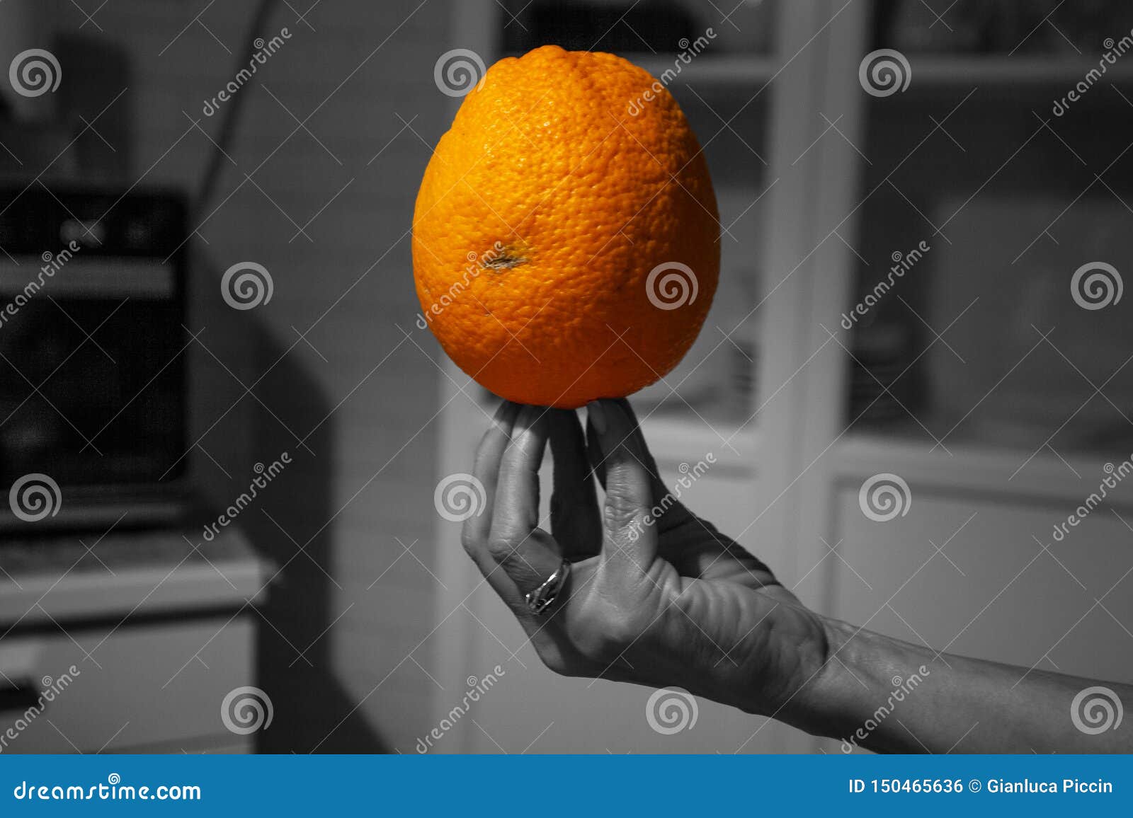 Female Hand Holding an Orange Stock Photo - Image of texture, hand ...