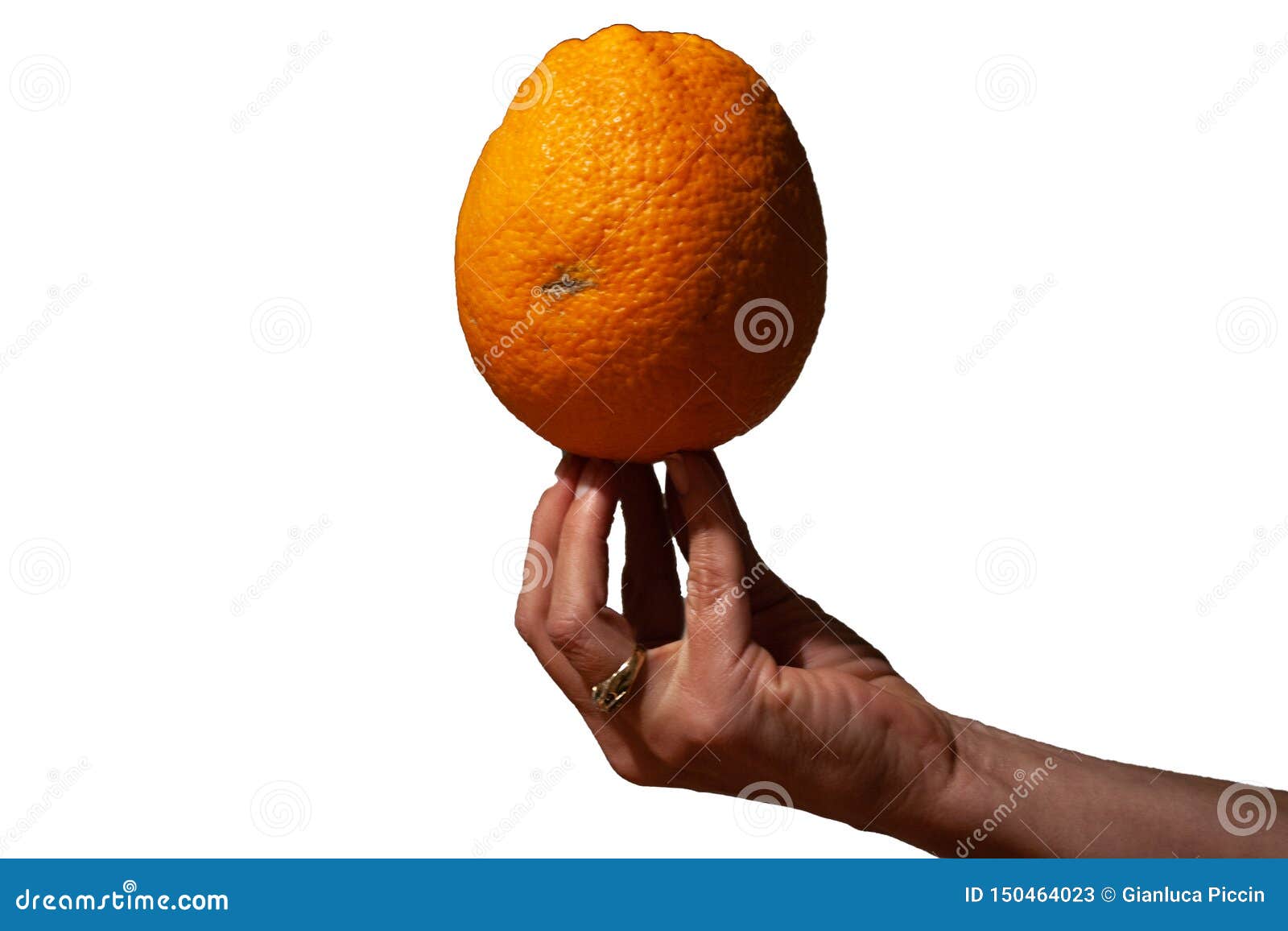 Female Hand Holding an Orange Stock Image - Image of holding, design ...