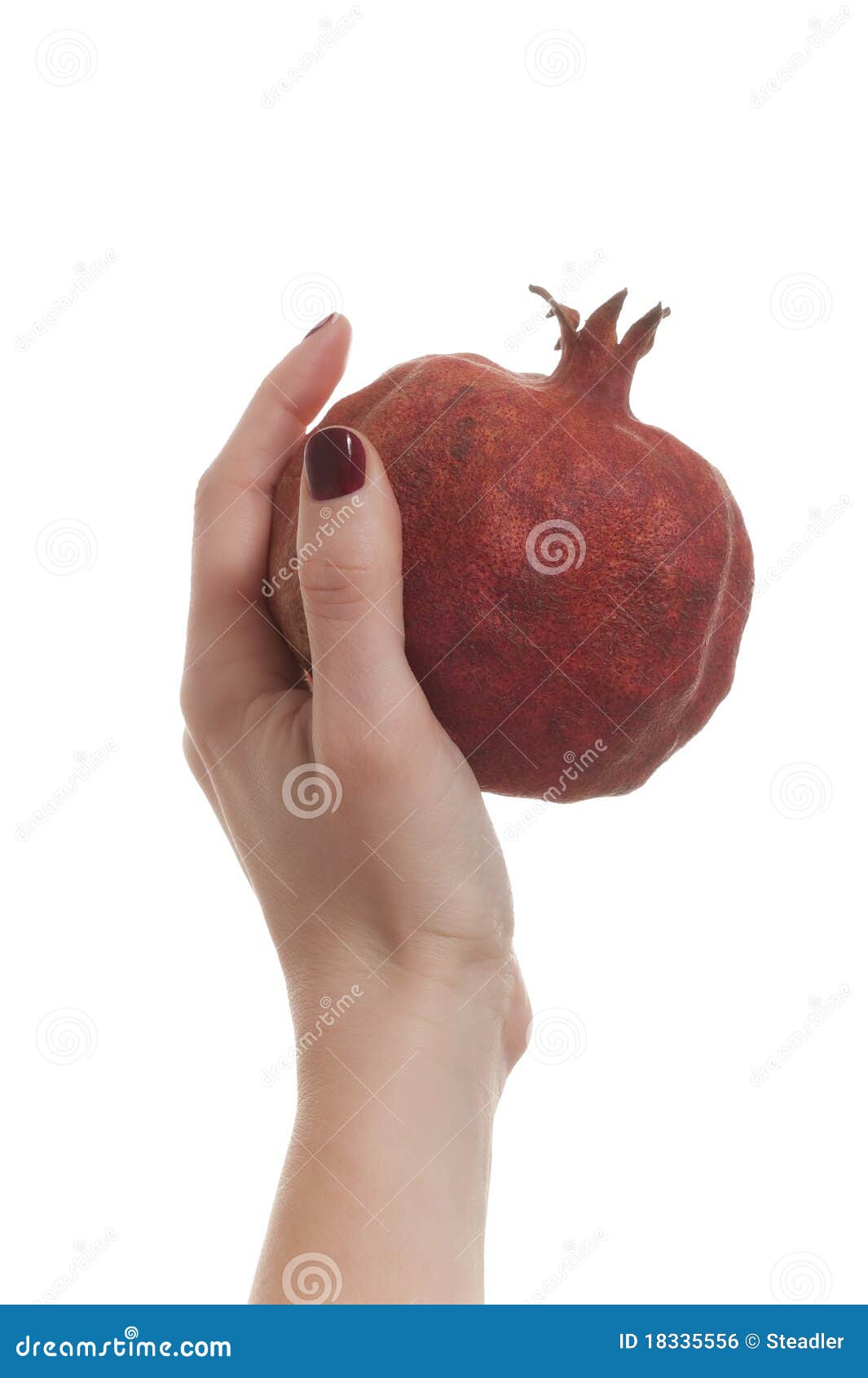 Female Hand Holding Pomegranate Stock Photo - Image of woman, giving ...