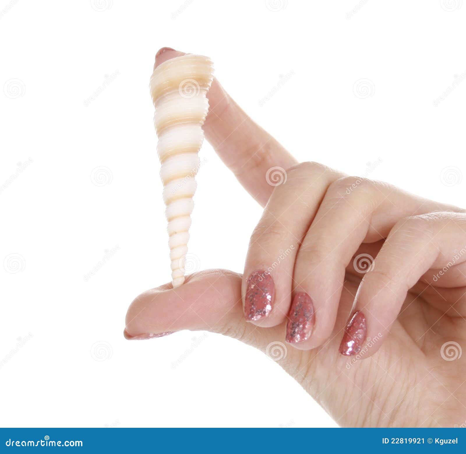 Female Hand Holding a Shell Stock Image - Image of close, hand: 22819921
