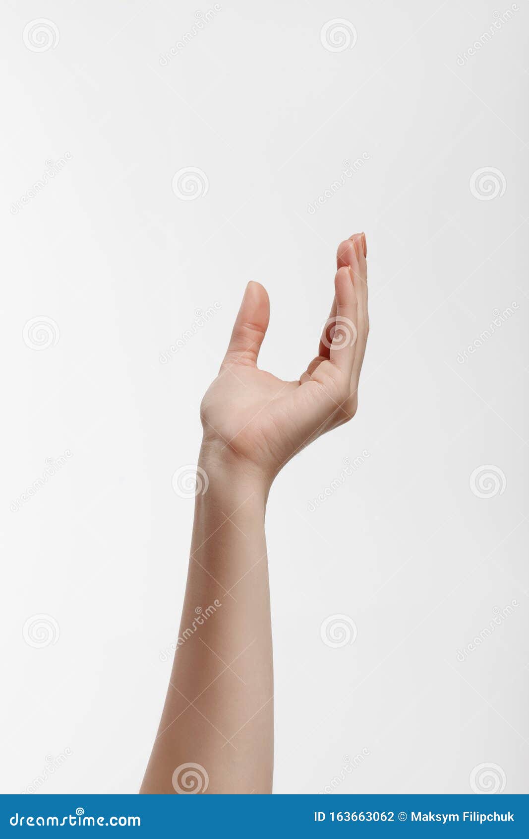 Female Hand Holding or Taking Something Stock Photo - Image of concept ...