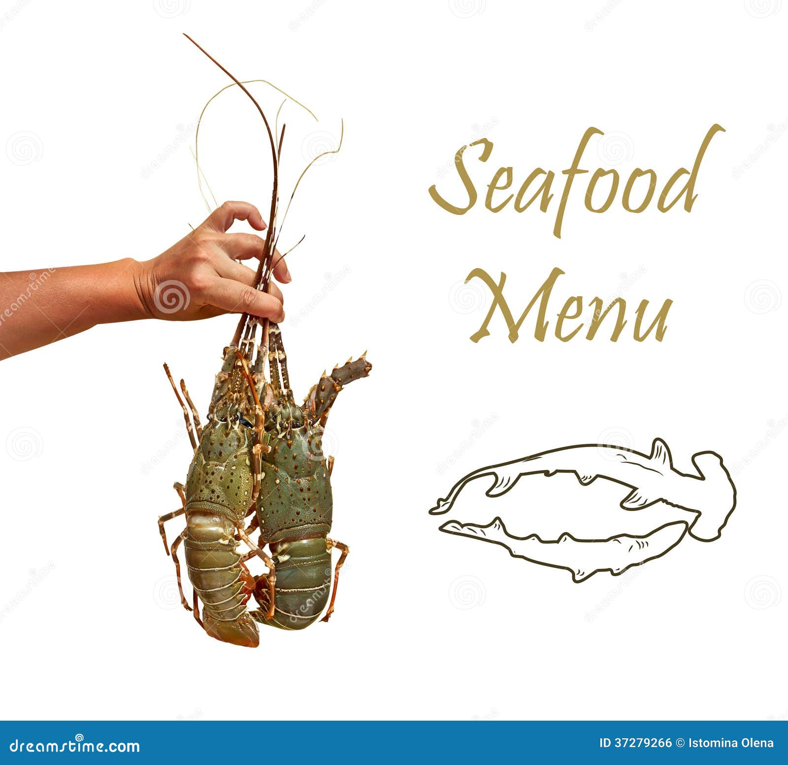 Two Lobsters Holding Hands