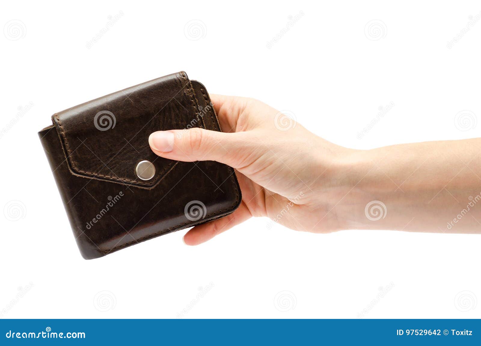 Female Hand Holding Wallet. Stock Photo - Image of cash, hold: 97529642