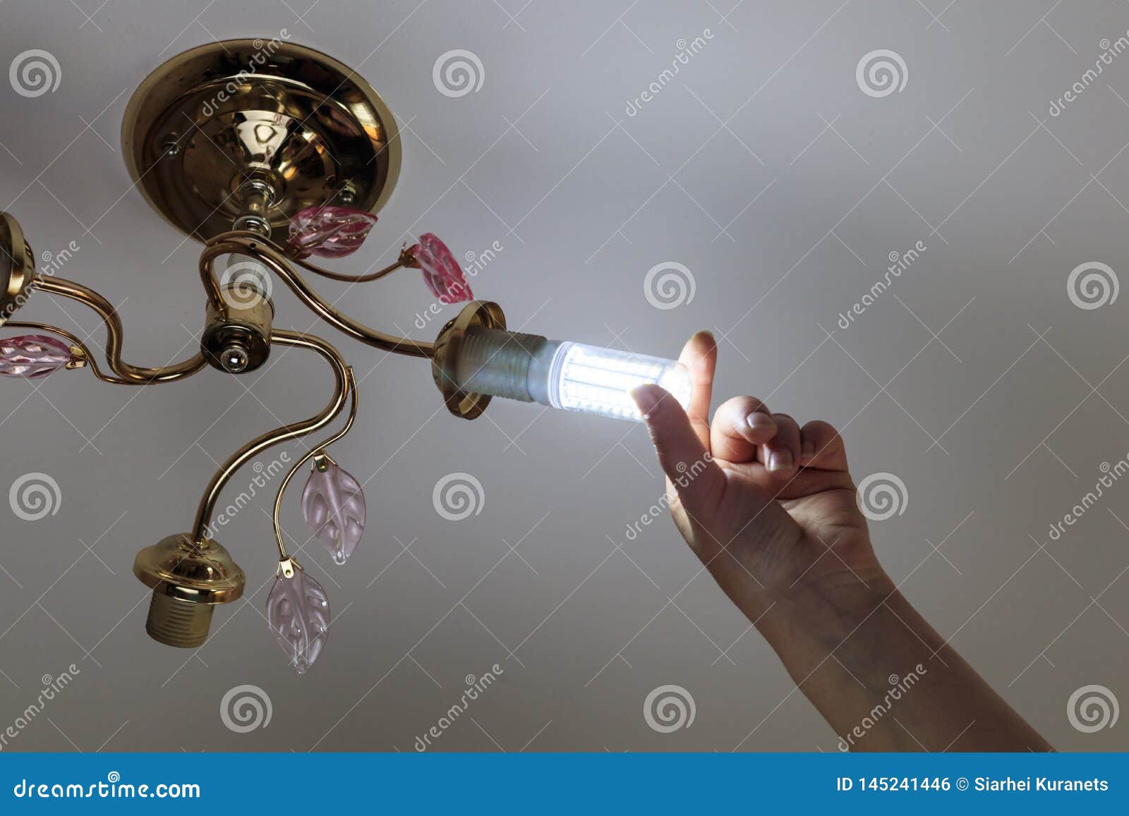 Female Hand Inserts a Light Bulb into the Threaded Socket. she is ...