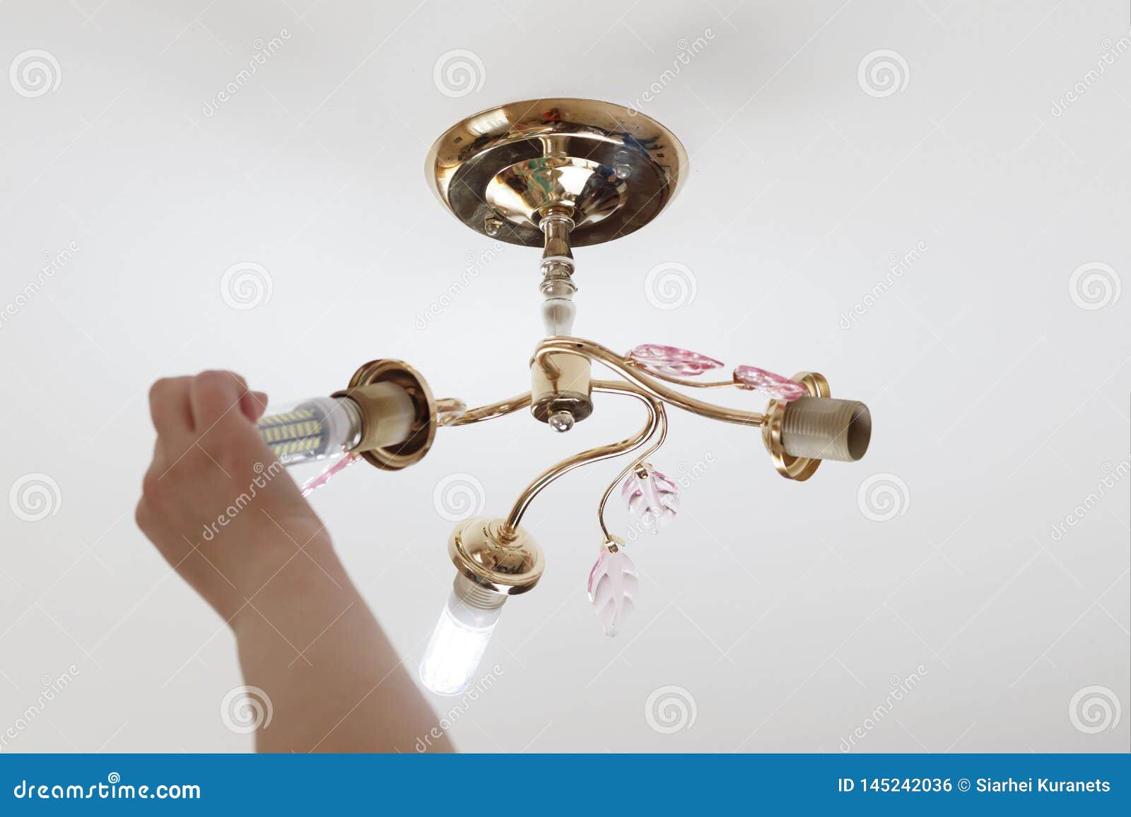 Female Hand Inserts a Light Bulb into the Threaded Socket. she is ...