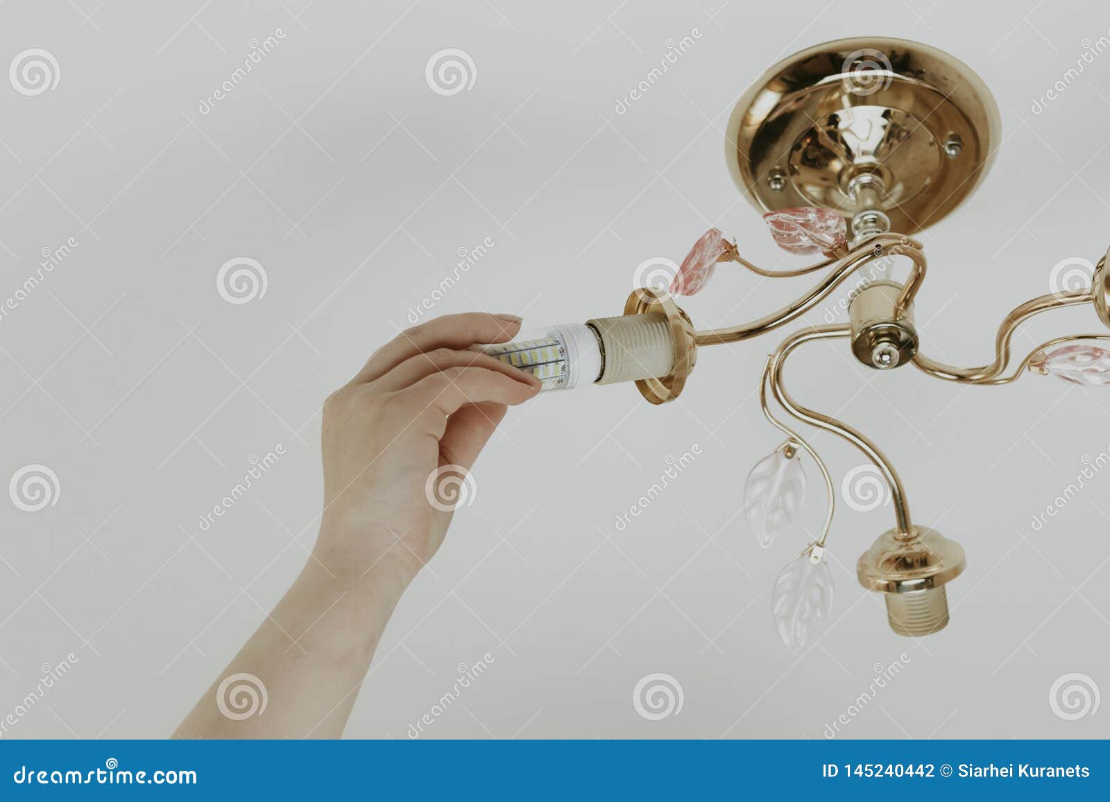 Female Hand Inserts a Light Bulb into the Threaded Socket. she is ...