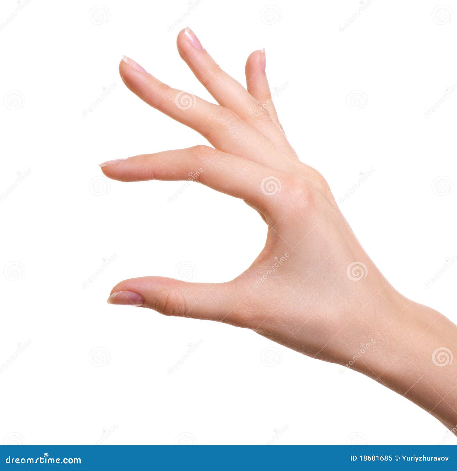Female hand isolated stock image. Image of picking, sign - 18601685