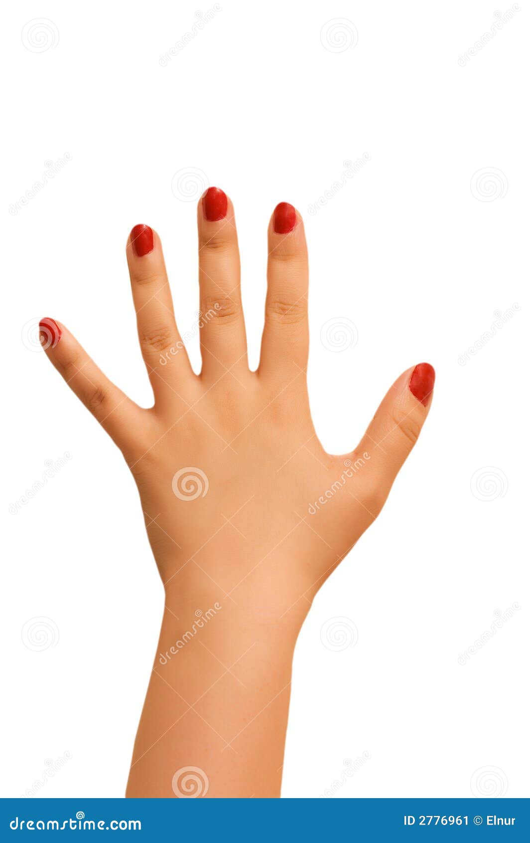 Female hand isolated stock image. Image of silhouette - 2776961