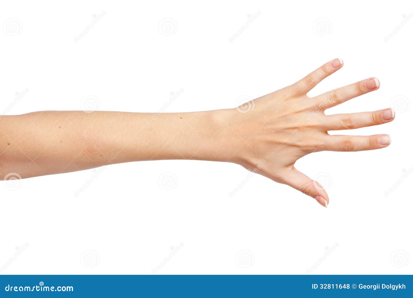 Female Hand Isolated on White Background Stock Photo - Image of holding ...