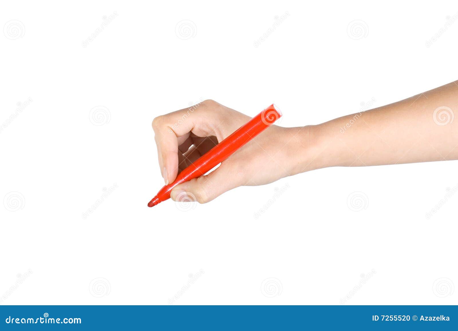 Female hand with a marker stock photo. Image of action - 7255520 Female hand with a marker stock photo. Image of action - 7255520