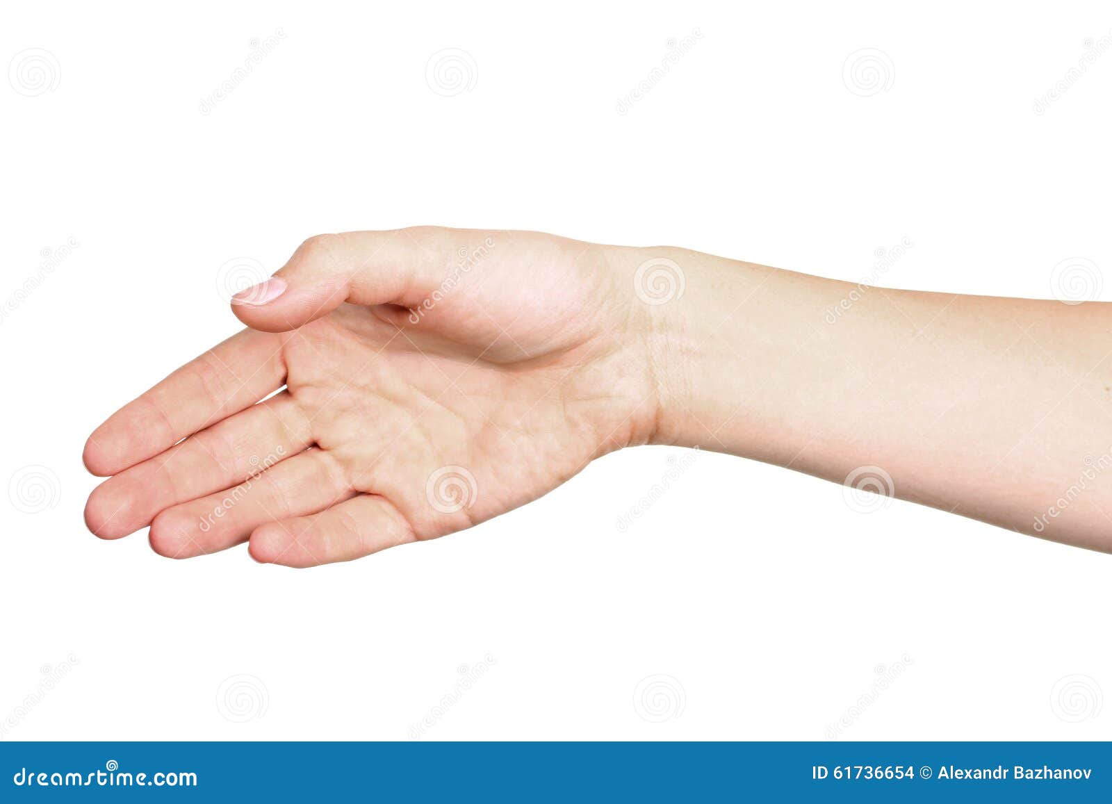 Female Hand Outstretched for a Handshake Stock Photo - Image of gesture ...