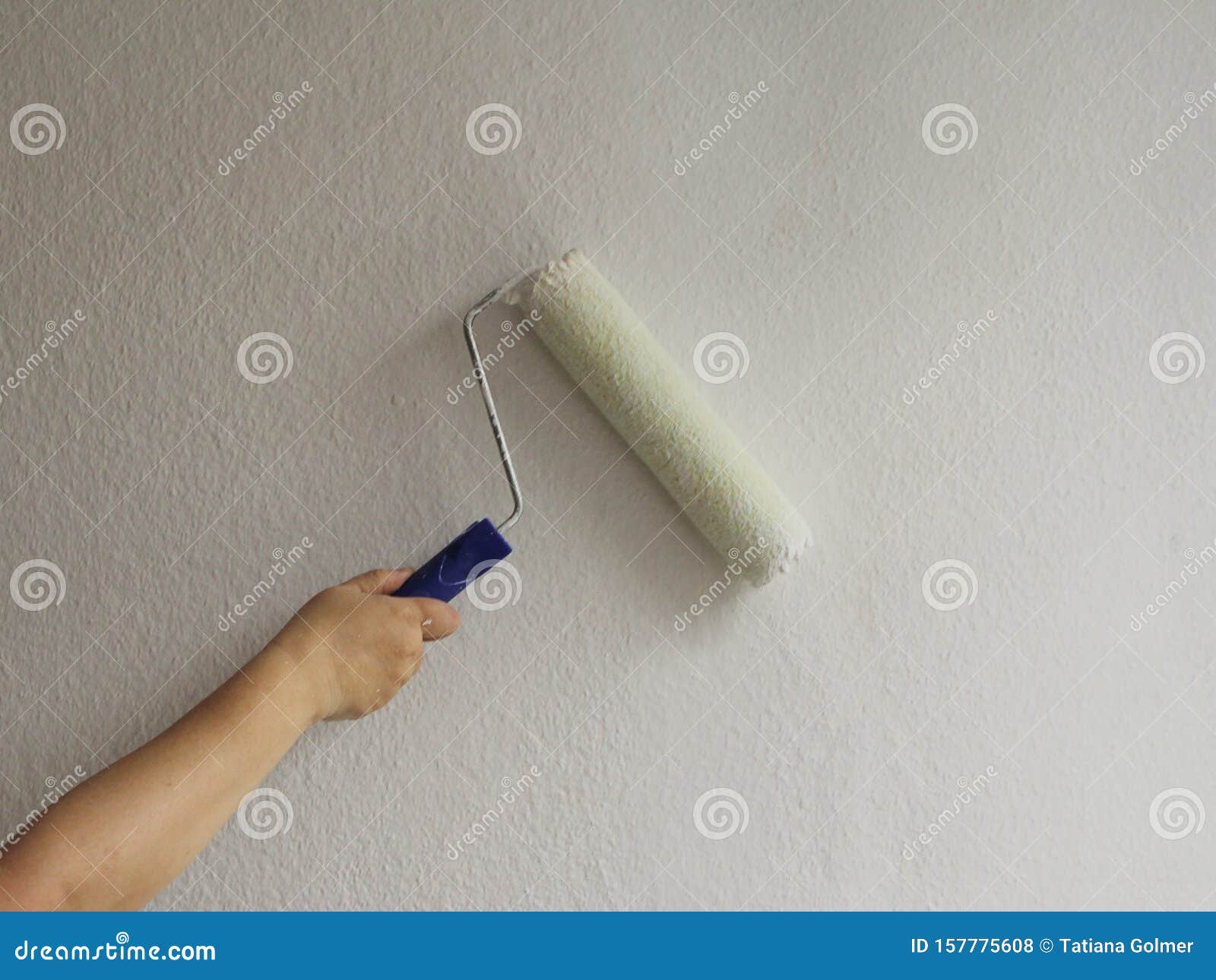 Female Hand Paints a White Paint Roller Stock Photo - Image of whiten ...