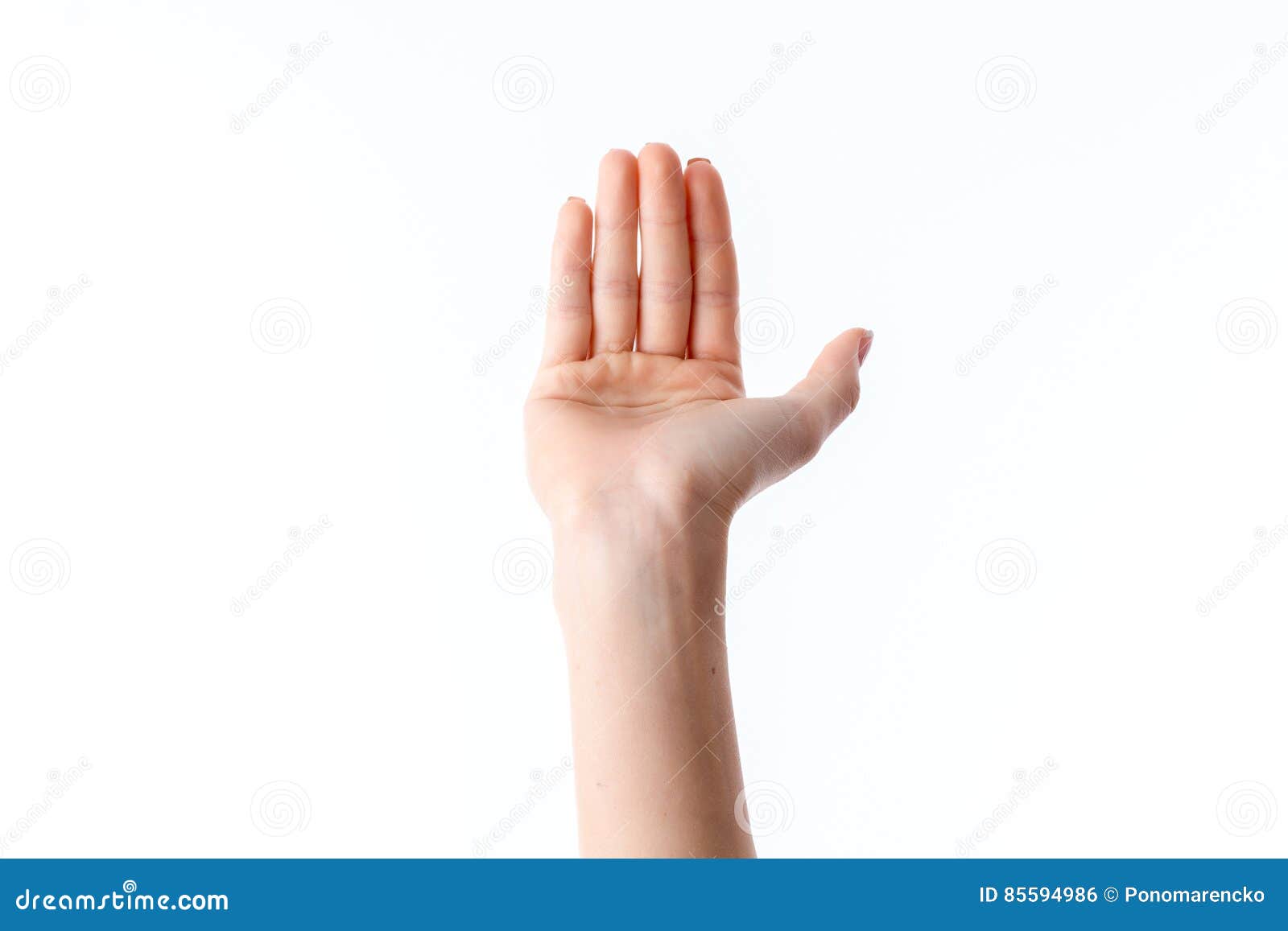 Female Hand with Raised Up Fingers and Deployed Forward Palm Stock ...