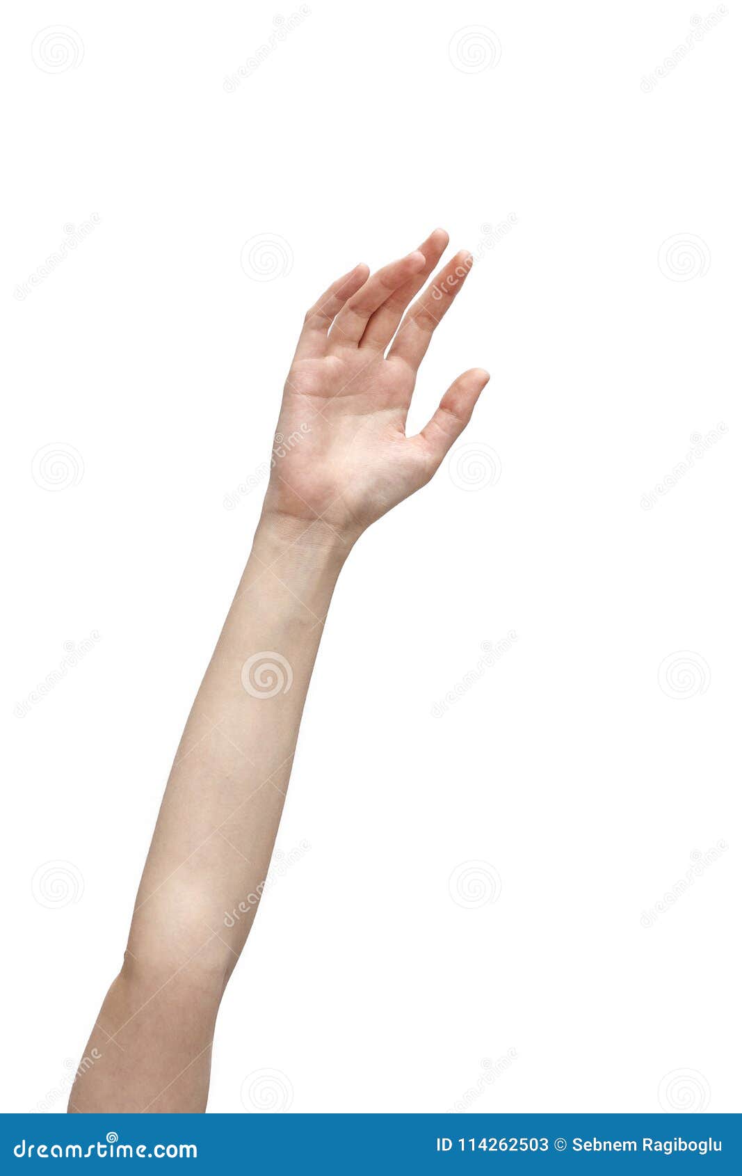 Female Hand Reaching Out