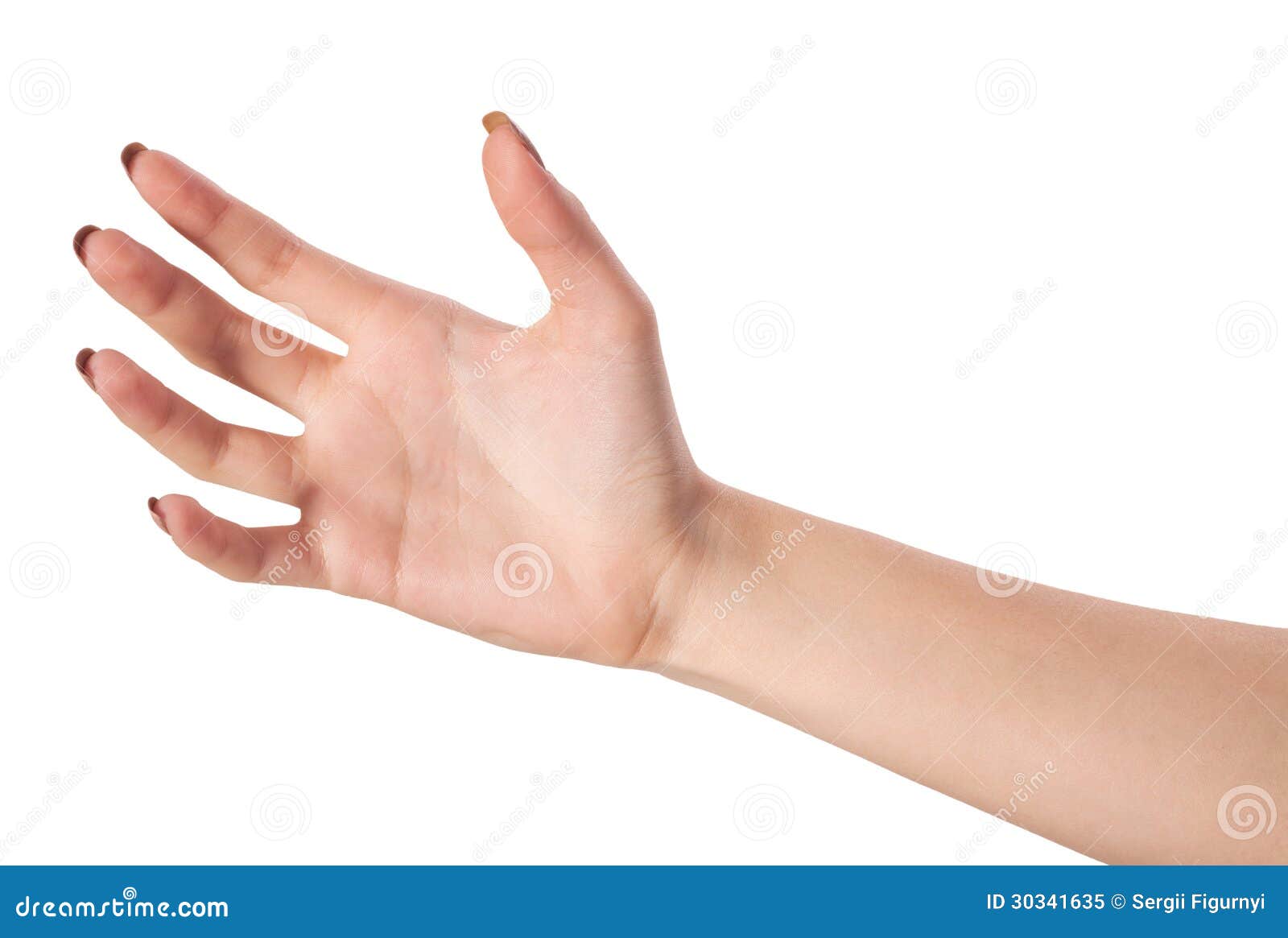 Female Hand Reaching for Something on White Stock Image - Image of ...