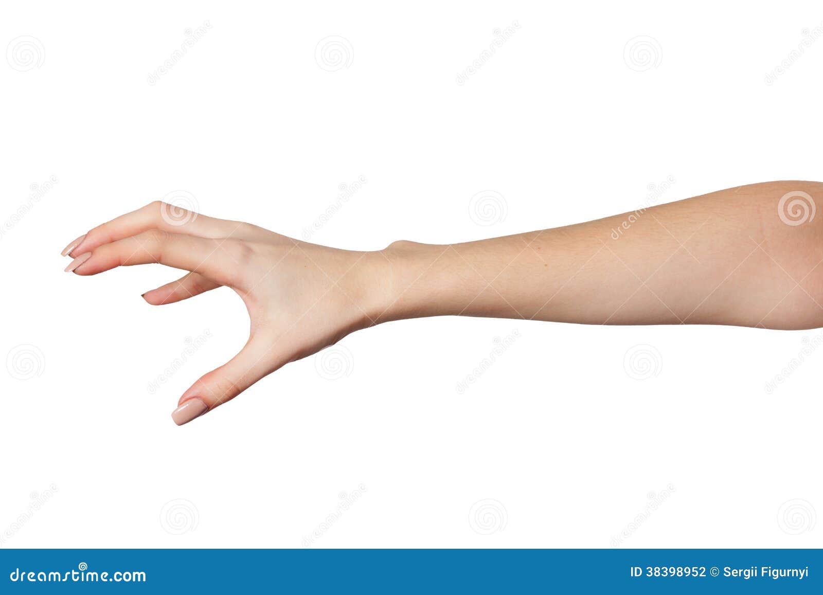 Female Hand Reaching Something White Stock Photos - Download 310 ...