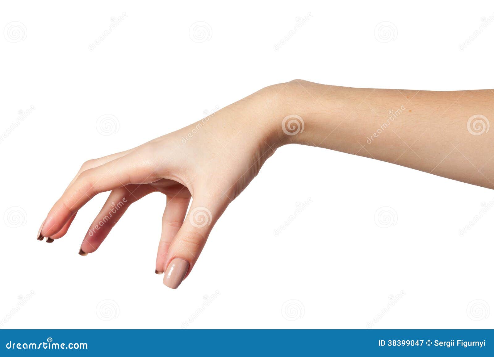 Womans Hand Reaching Up