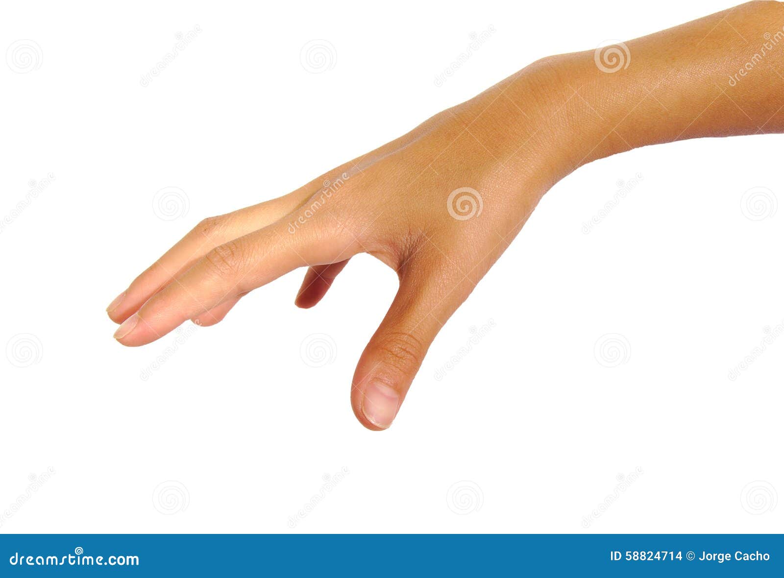 Female Hand Ready To Take or Catch Something Stock Photo - Image of ...