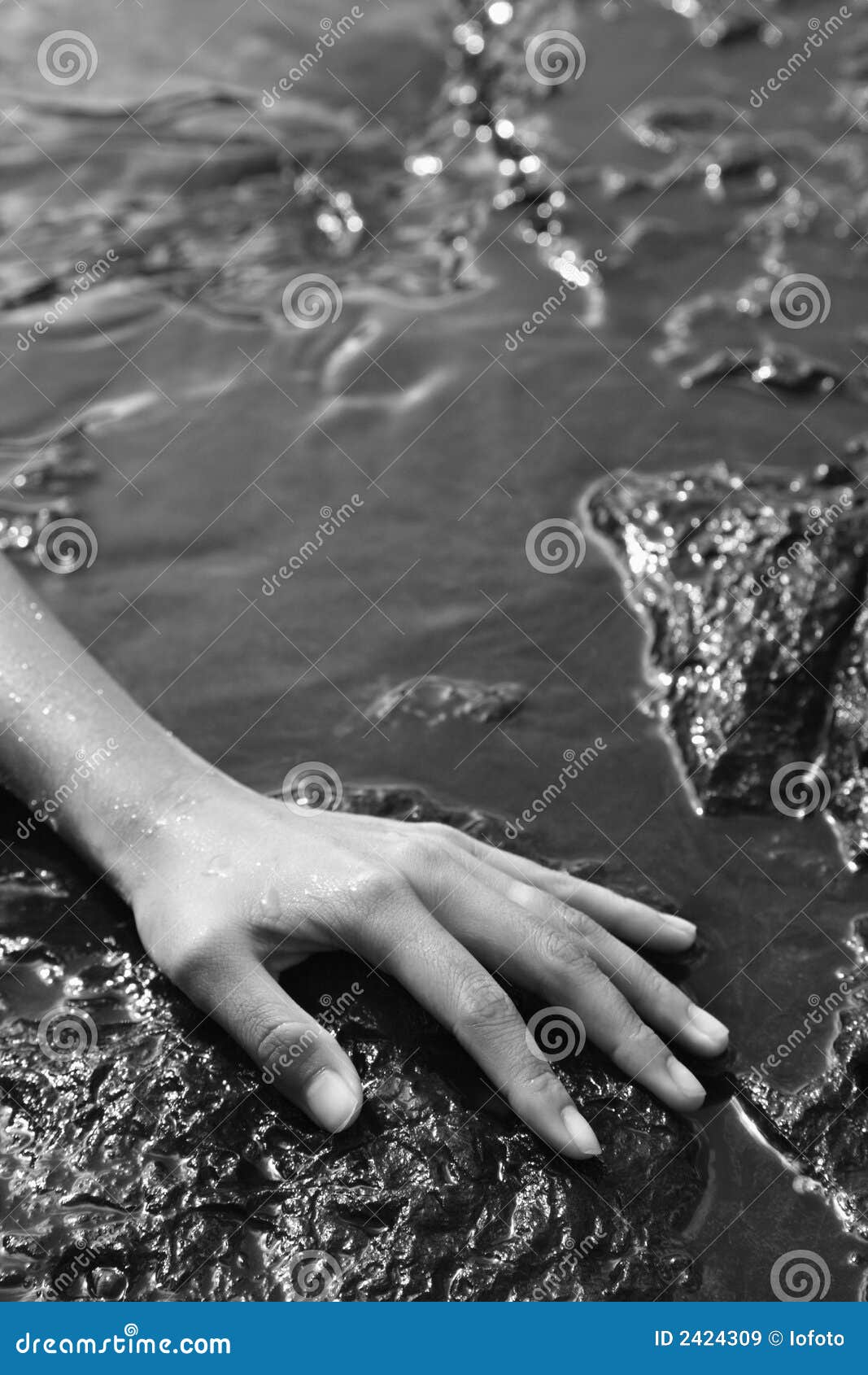 Female hand on rock. stock image. Image of female, adult - 2424309