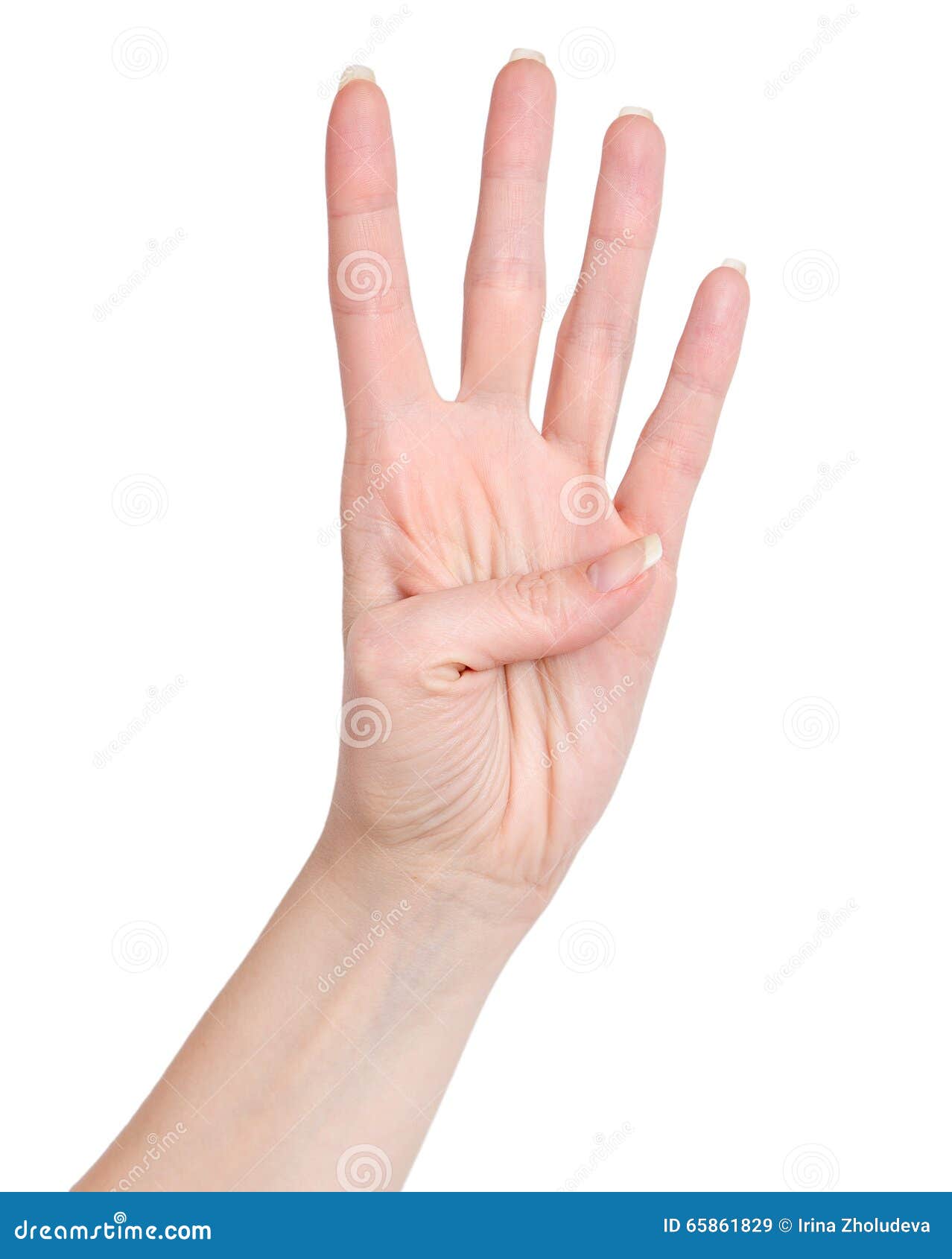 Female Hand Showing Four Count Stock Image - Image of body, hand: 65861829