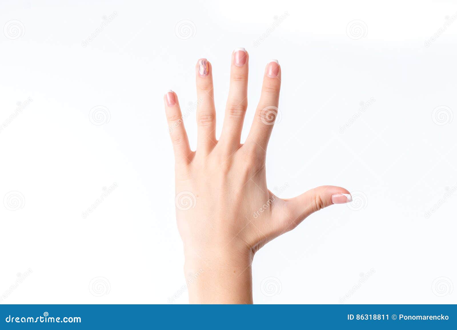 Female Hand Showing The Gesture With Five Fingers Is Isolated On A ... Female Hand Showing The Gesture With Five Fingers Is Isolated On A ...