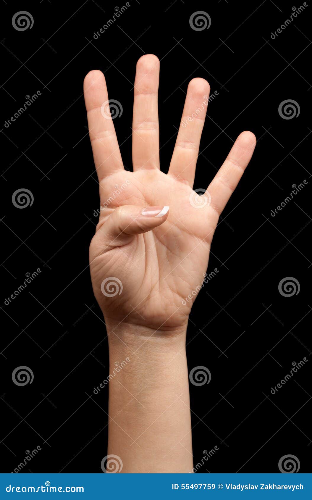 Female Hand Showing Number Four Stock Image - Image of isolated, child ...