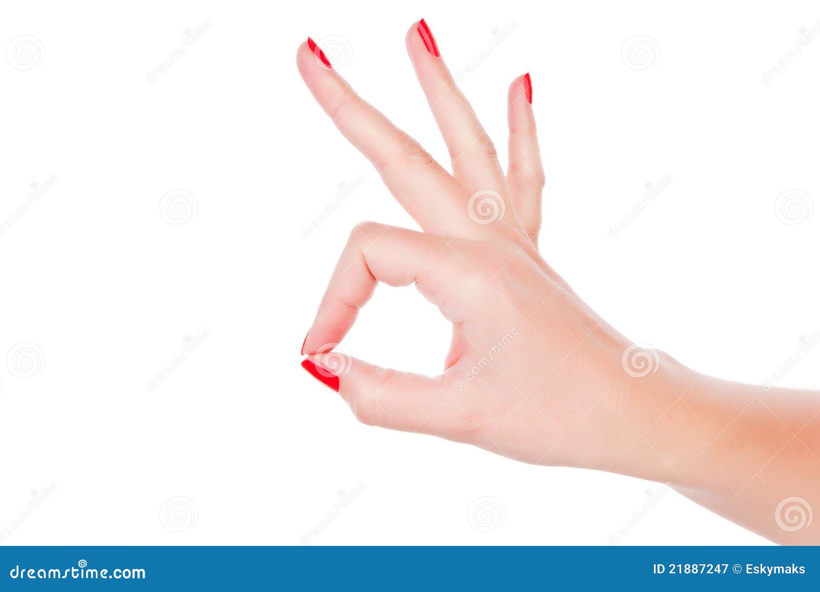 Female Hand Showing the OK Sign. Stock Image - Image of showing ...