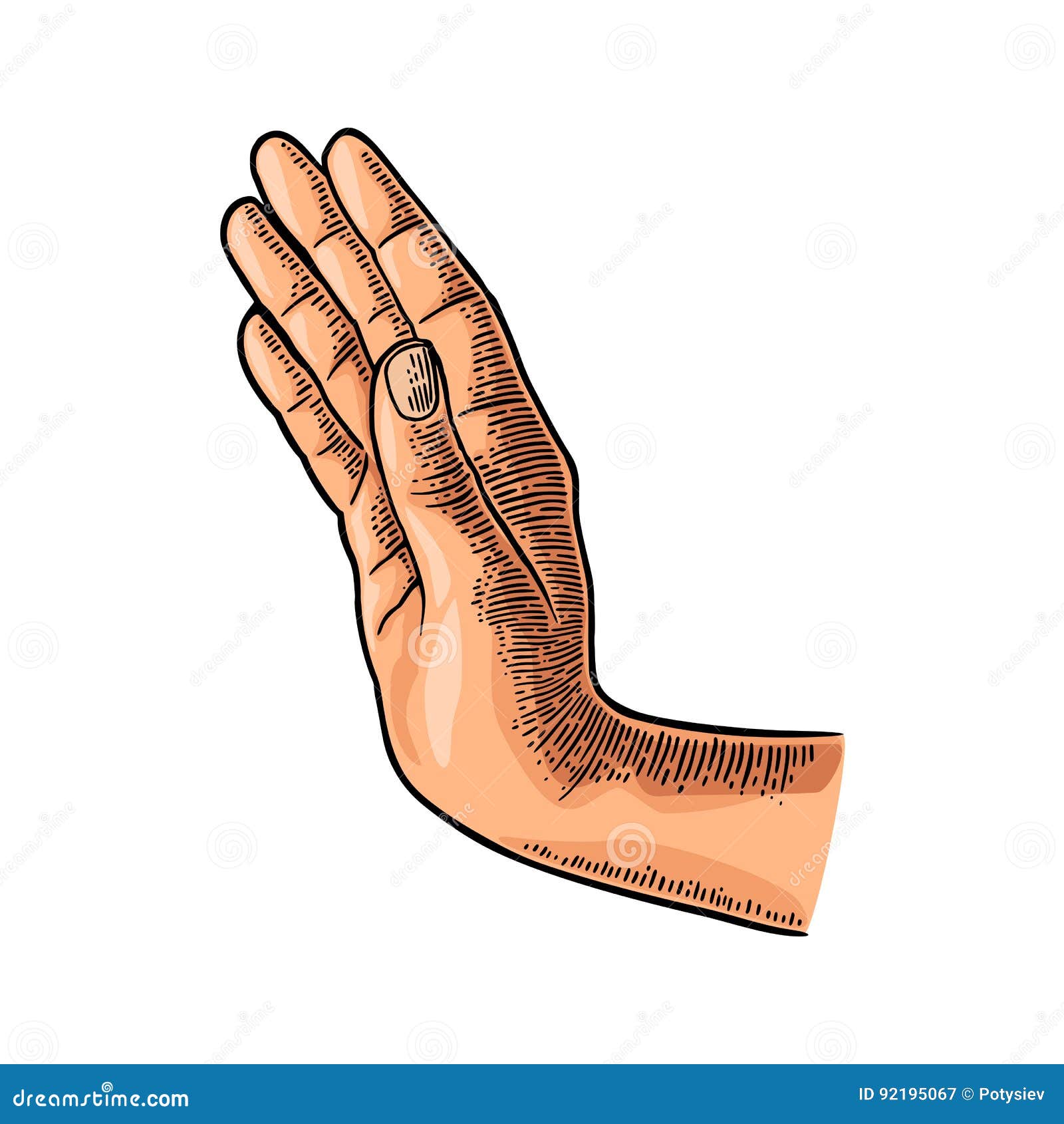 Female Hand Showing Stop Gesture. Vector Black Vintage Engraving Stock ... Female Hand Showing Stop Gesture. Vector Black Vintage Engraving Stock ...
