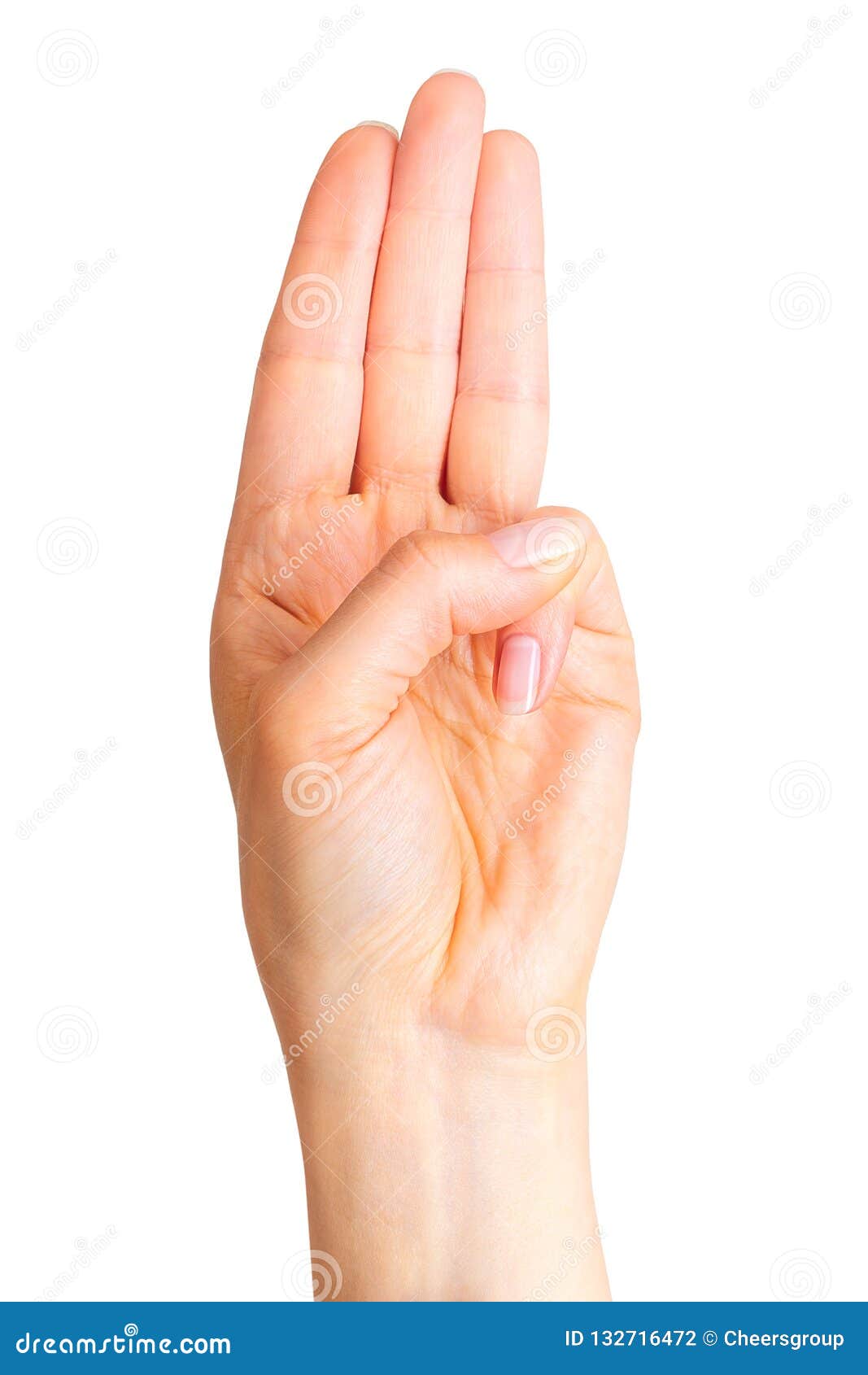 Female Hand Showing Three Fingers and Palm Stock Photo - Image of fist ... Female Hand Showing Three Fingers and Palm Stock Photo - Image of fist ...