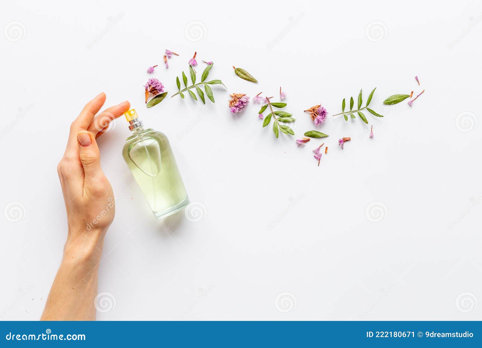 Female Hand Spray Perfume Bottle and Flow of Flowers Stock Image ...